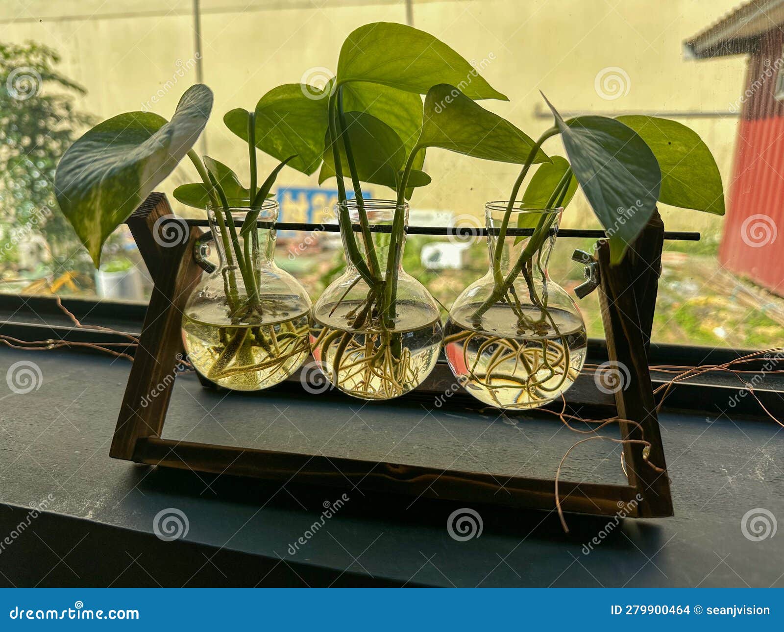 Eye-catching Window Decorations with Plants Stock Photo - Image of ...