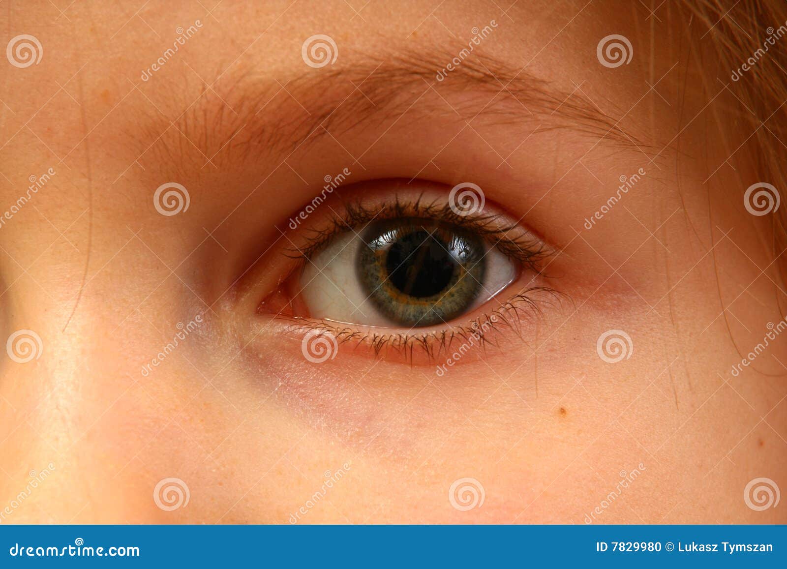 Eye of a child stock photo. Image of closer, left, face - 7829980