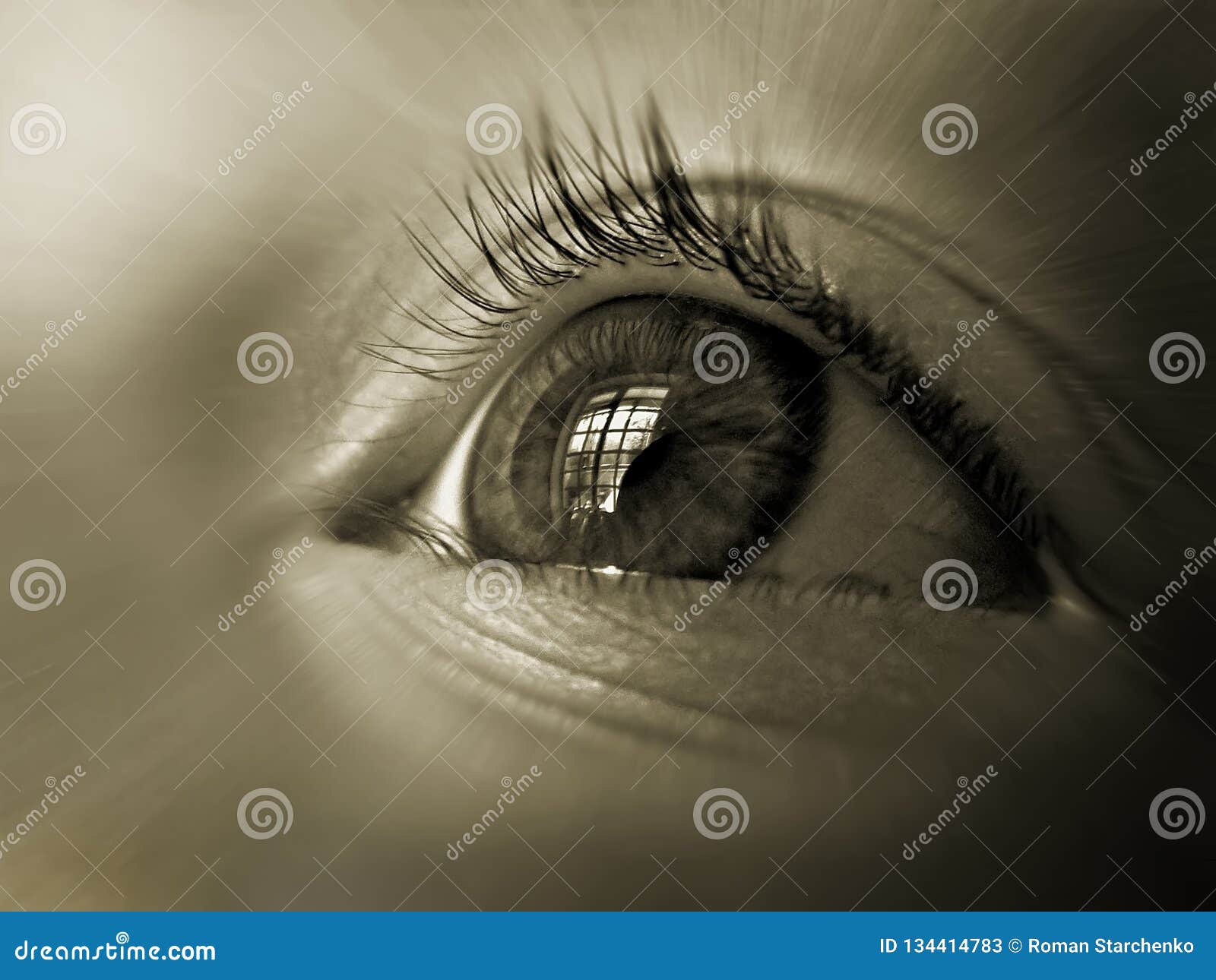 Reflection In Car Window Royalty-Free Stock Photography | CartoonDealer ...