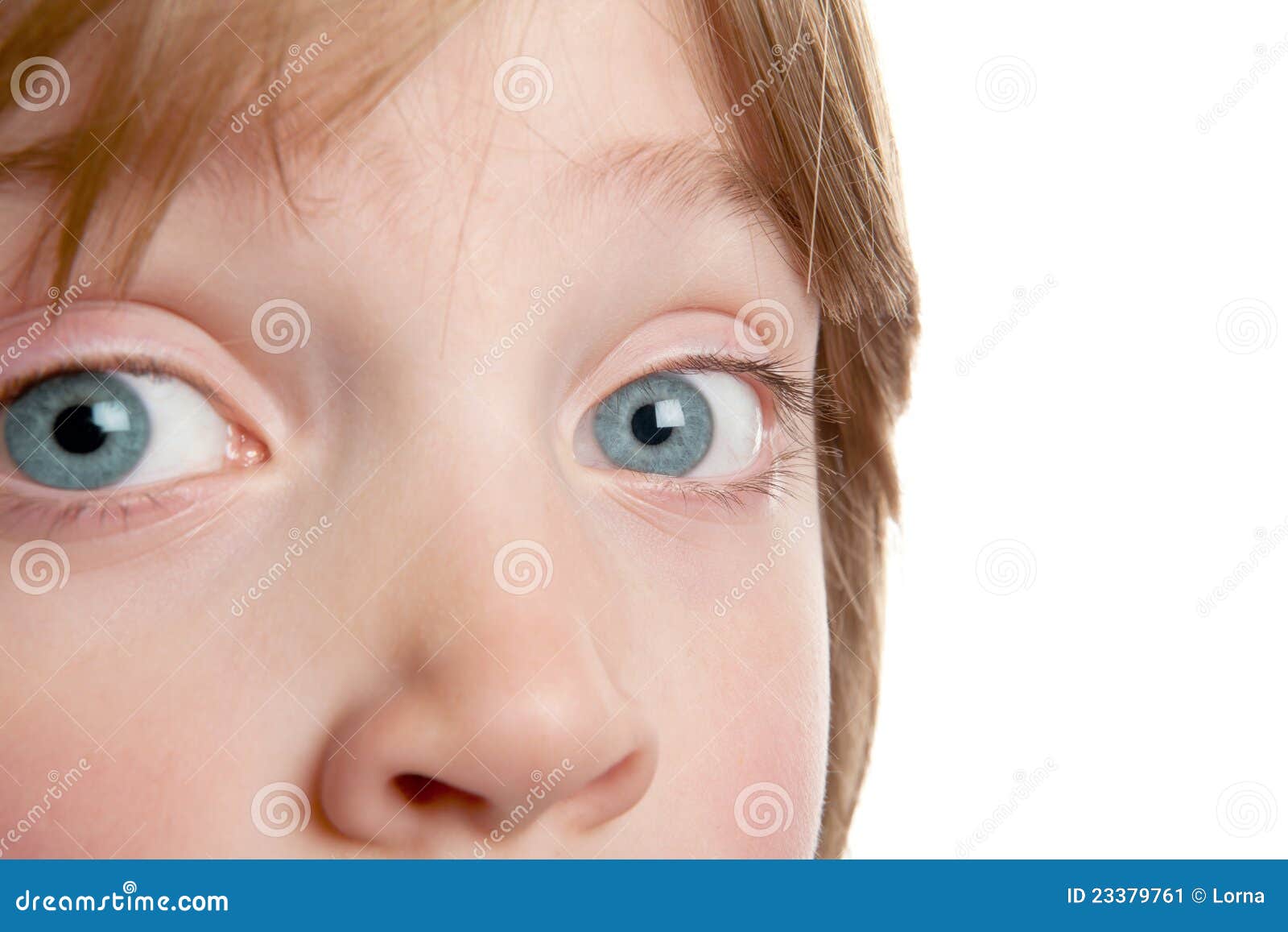 Eye child iris boy stock image. Image of look, iris, eyesight - 23379761