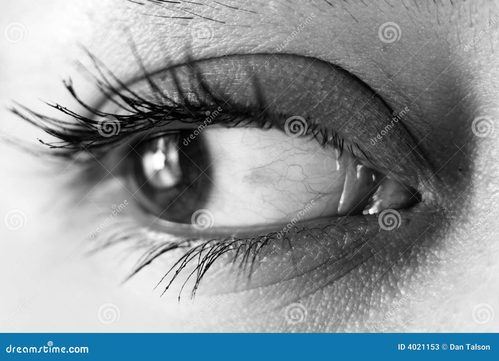 Eye Close-up Picture. Image: 4021153