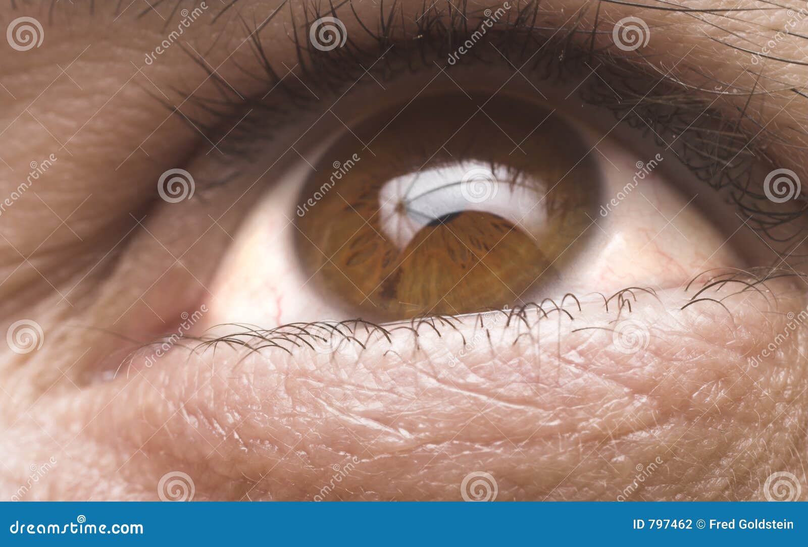 Eye close up stock photo. Image of look, distance, digital - 797462