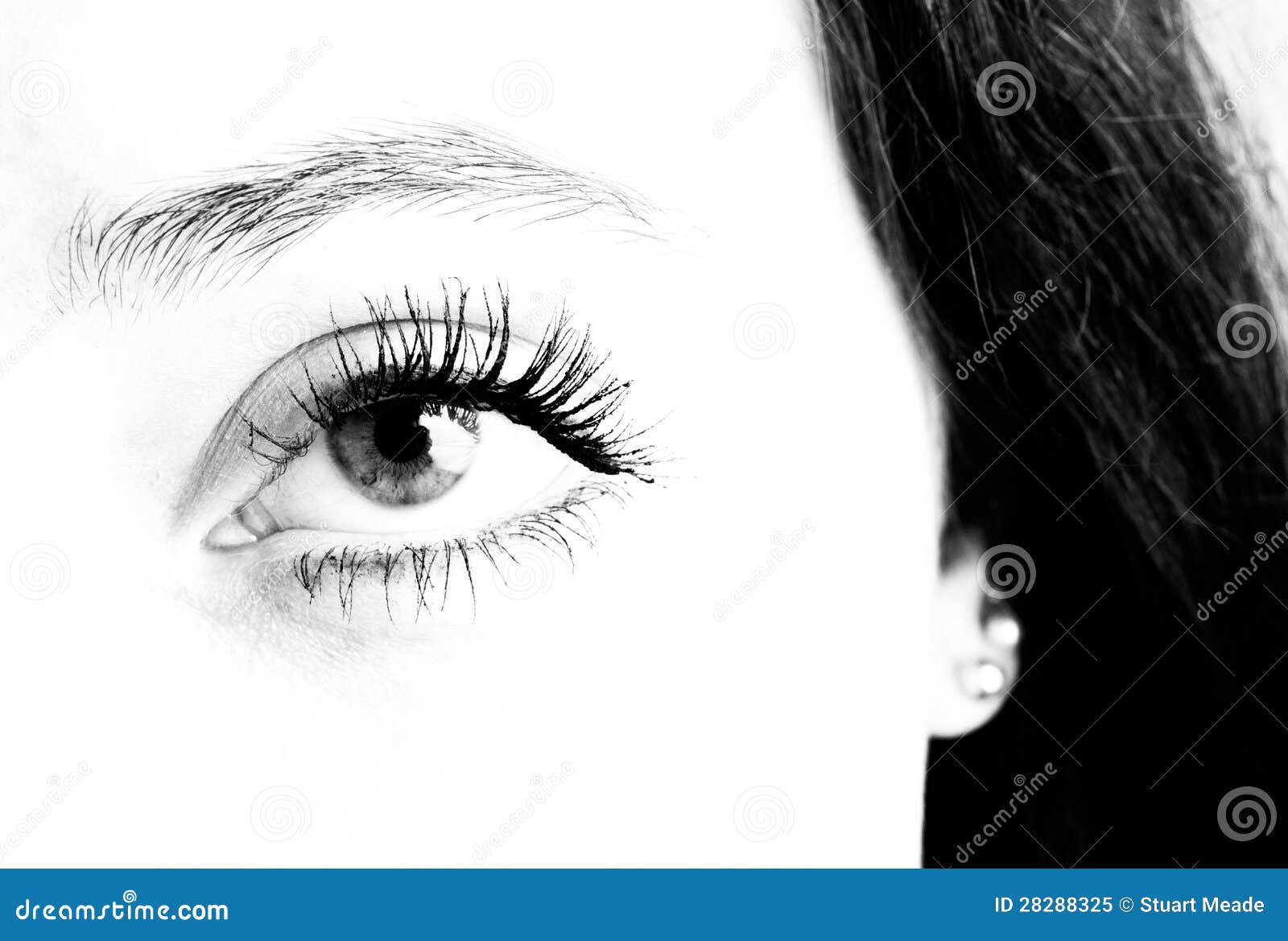 Eye close up fashion stock image. Image of lash, black - 28288325