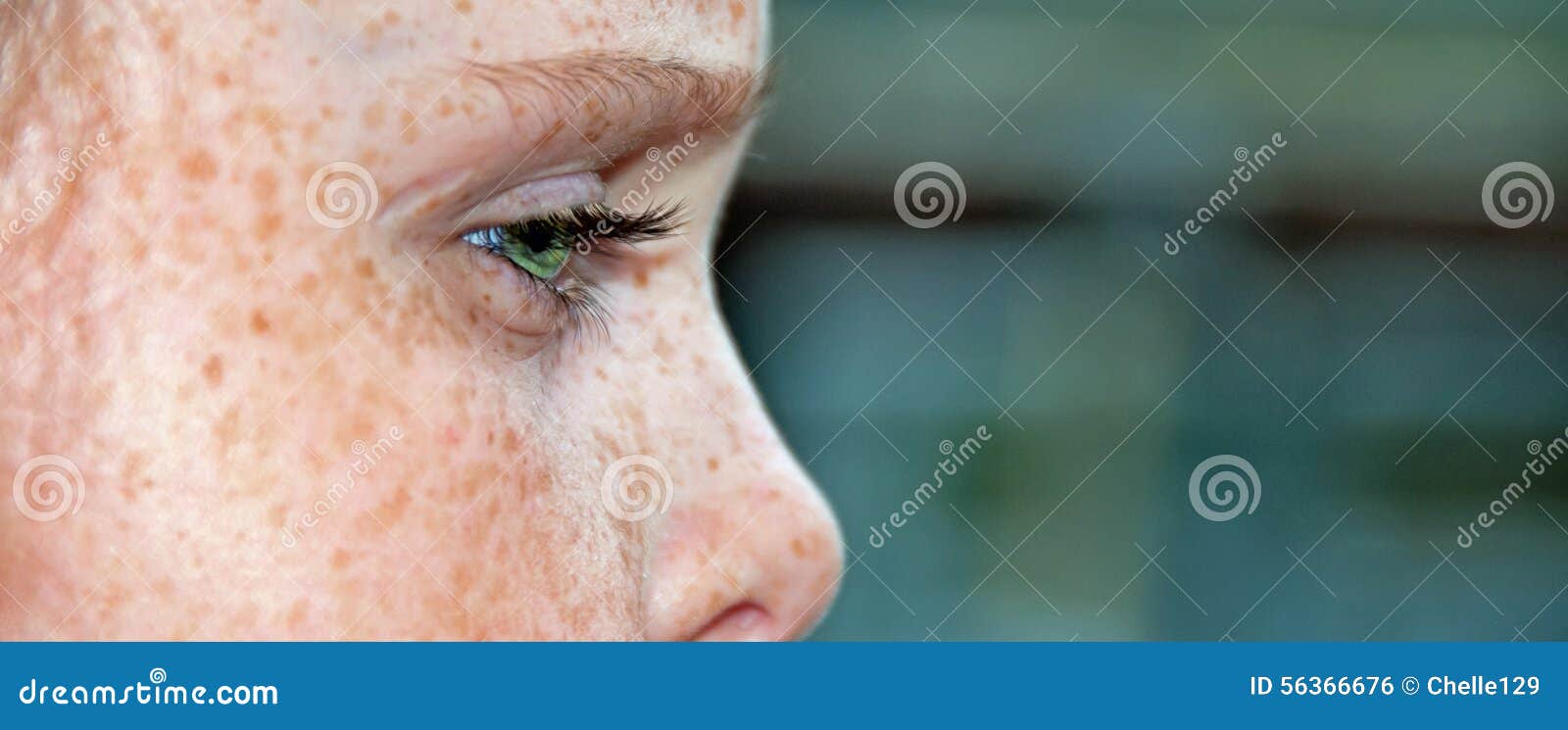 Eye close up stock photo. Image of beautiful, ginger - 56366676