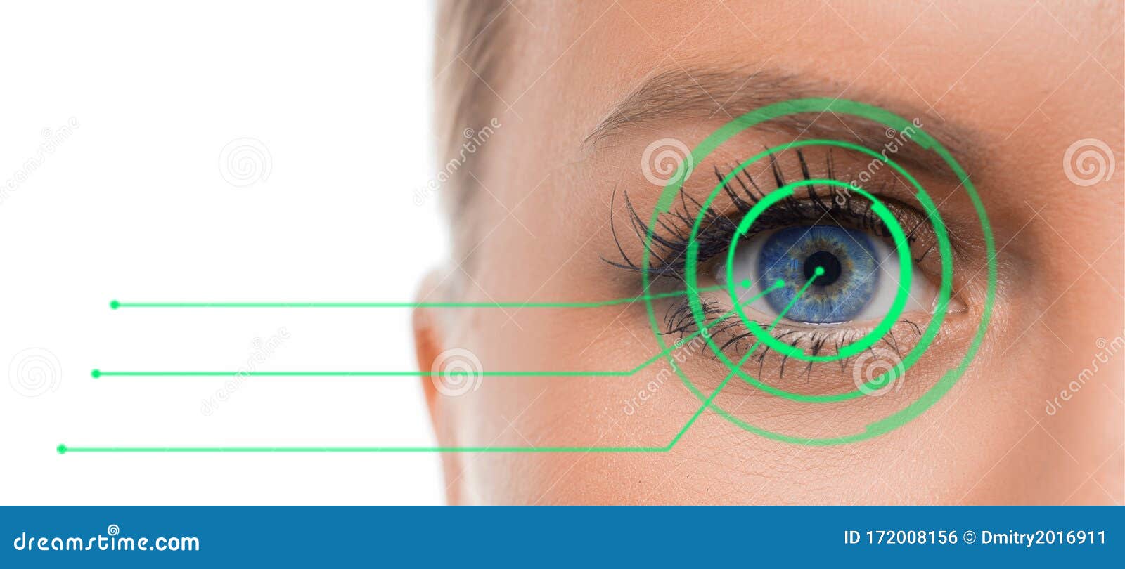 Iris Identification System Stock Photography | CartoonDealer.com #124453286