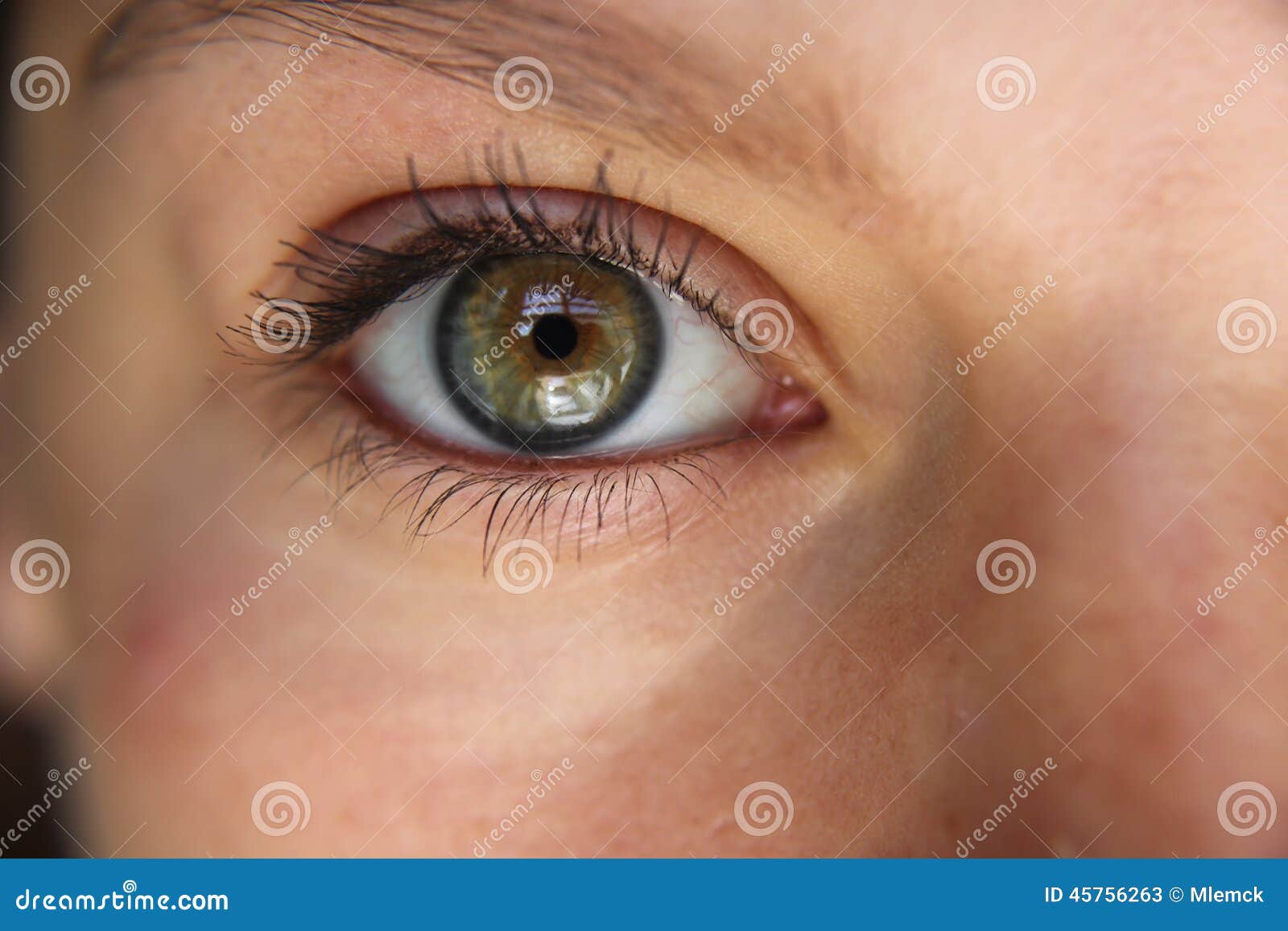 Eye Close Up stock image. Image of eyeball, unique, pupil - 45756263
