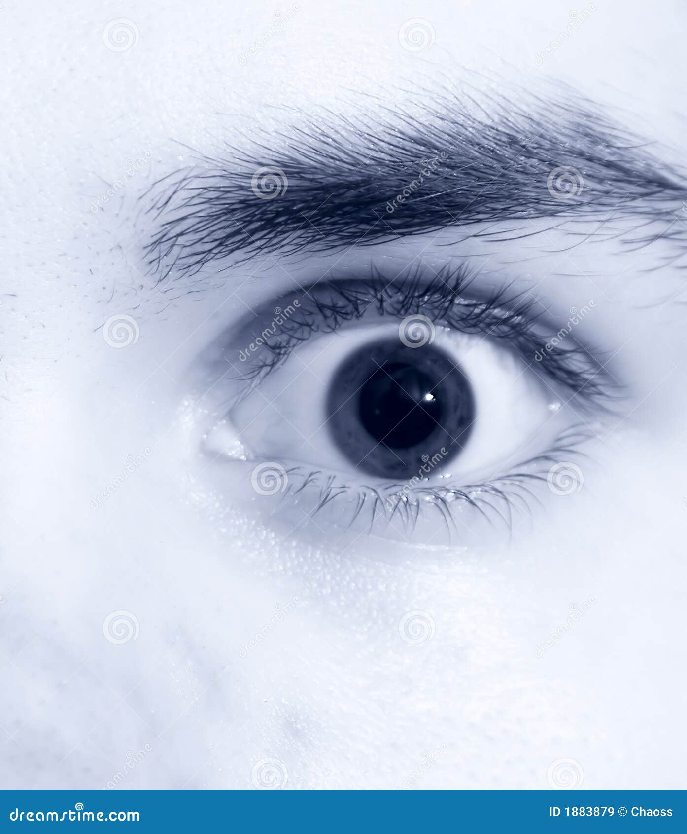 Eye close view stock image. Image of goggle, head, eyes - 1883879