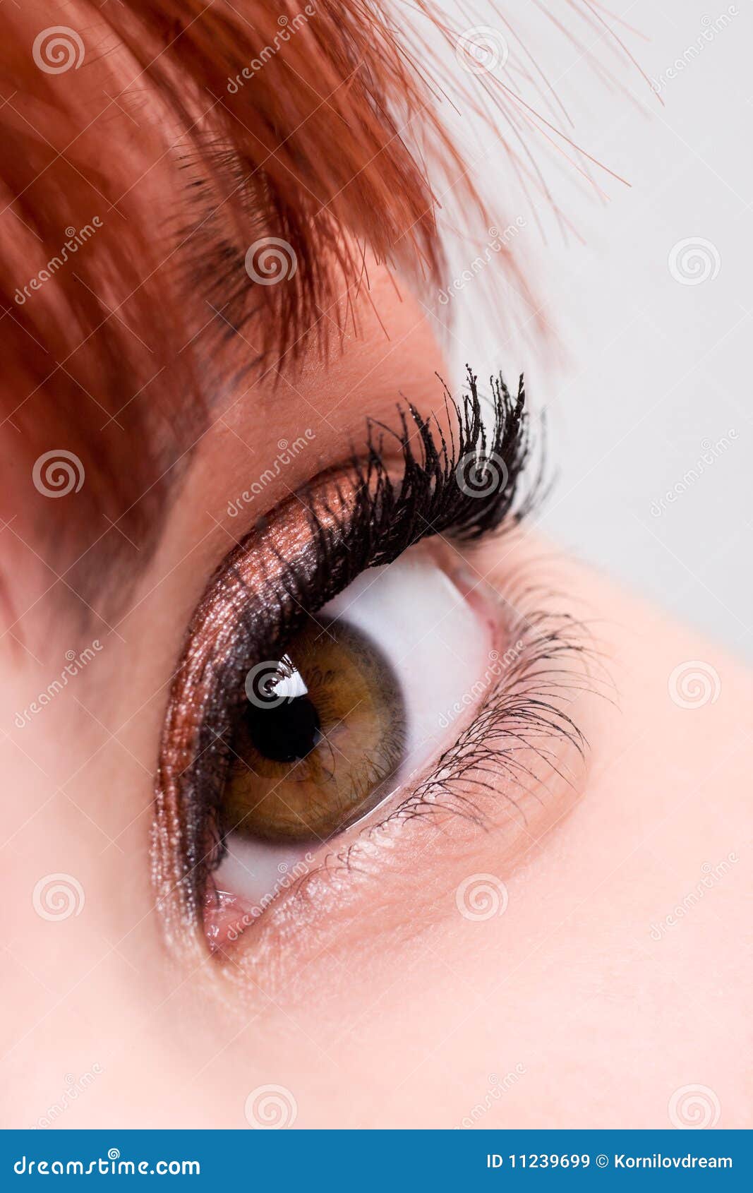 Eye closeup stock image. Image of inspect, people, eyelashes - 11239699