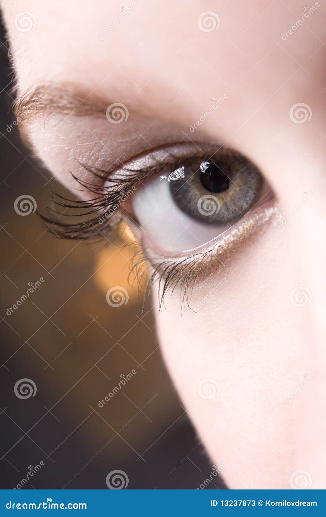 Eye closeup stock image. Image of eyelids, inspect, sight - 13237873