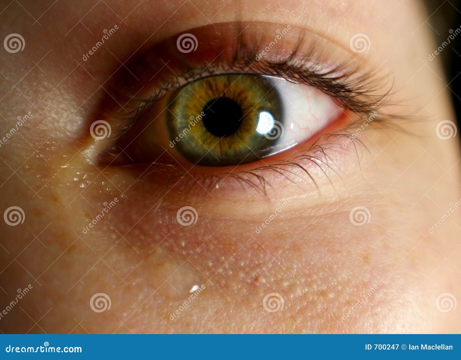 Sad Crying Brown Eyes