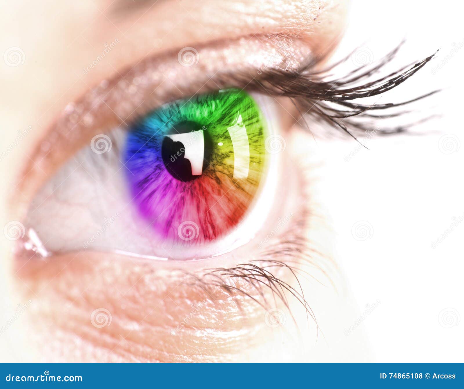 Eye stock photo. Image of detailed, graphic, pupil, eyehole - 74865108