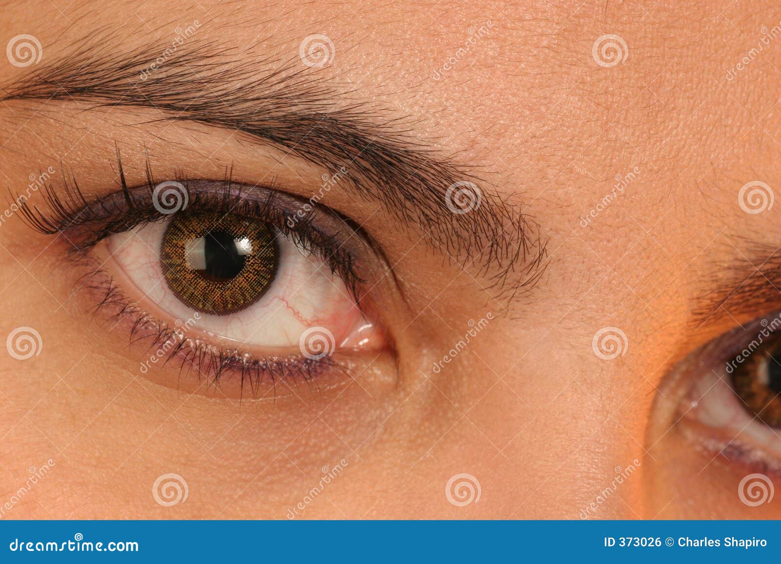 Eye contact stock photo. Image of happy, contact, lashes - 373026
