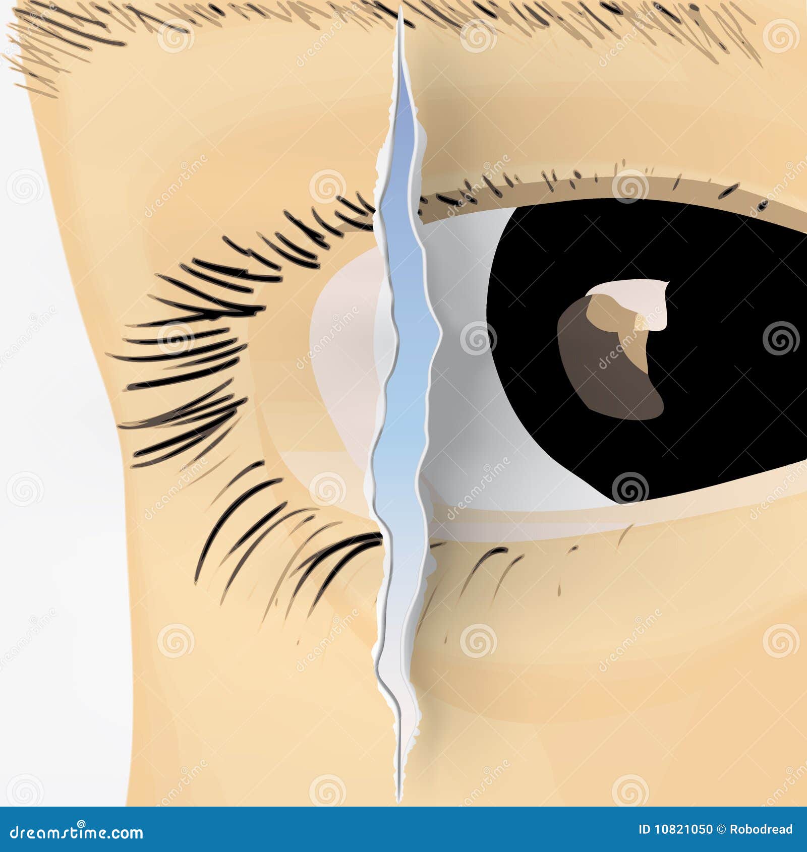 Eye crack (vector) stock vector. Illustration of bulb - 10821050