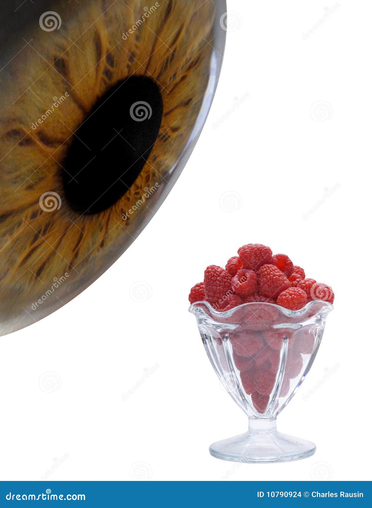 Eye on Dessert stock photo. Image of chocolate, dessert - 10790924