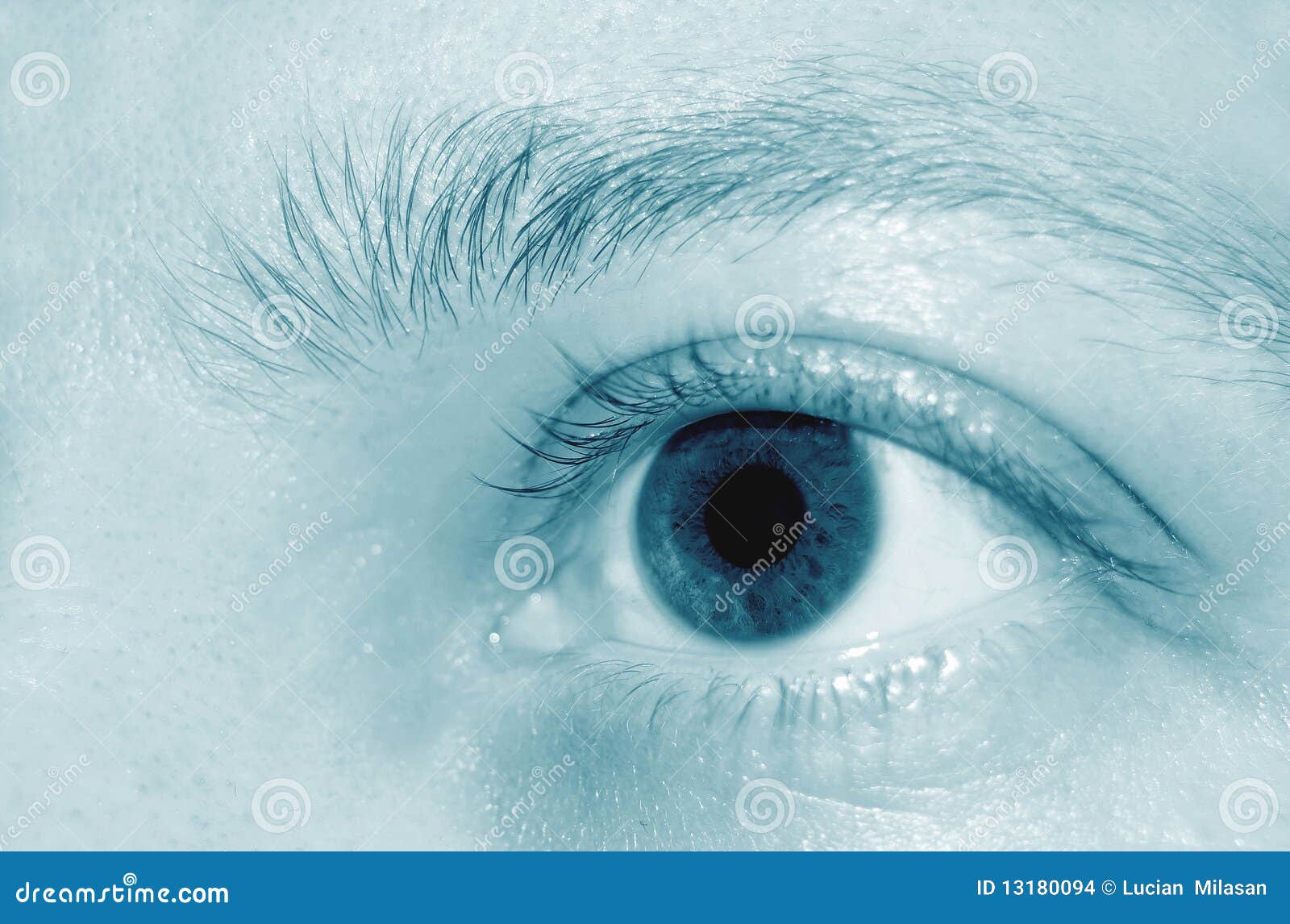 Eye detail stock photo. Image of ocular, closeup, detailed - 13180094