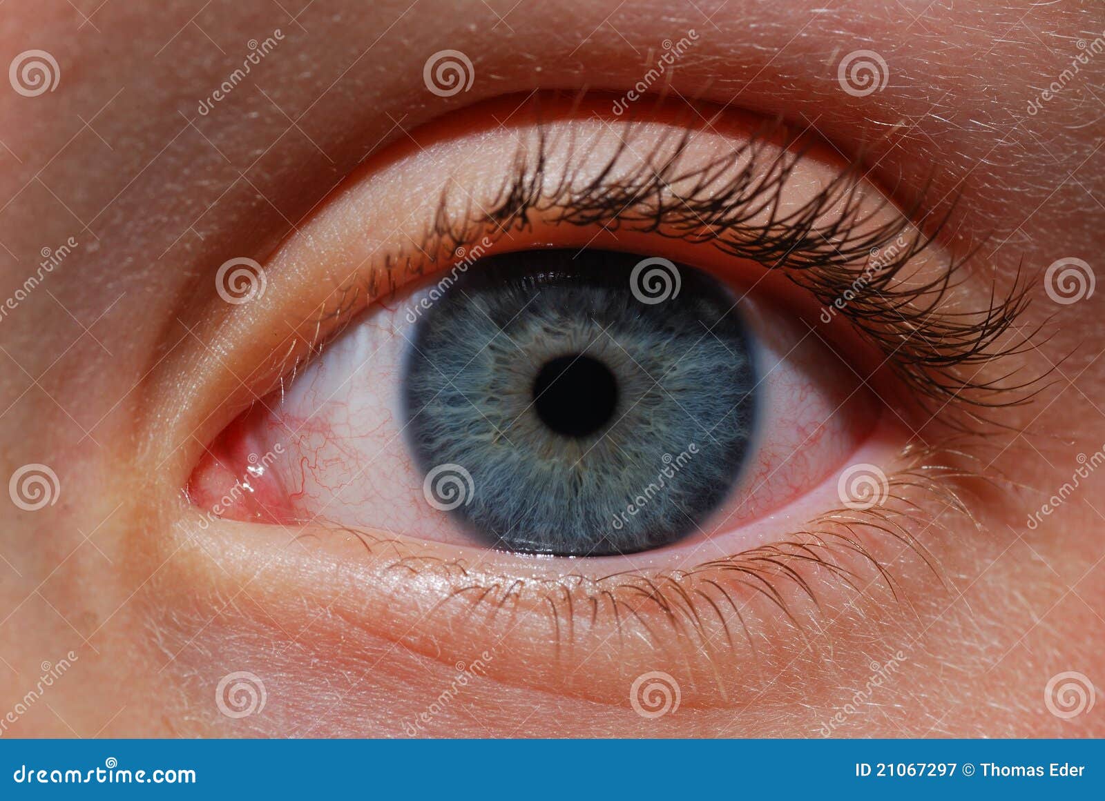 Eye detail stock image. Image of fashion, light, makeup - 21067297