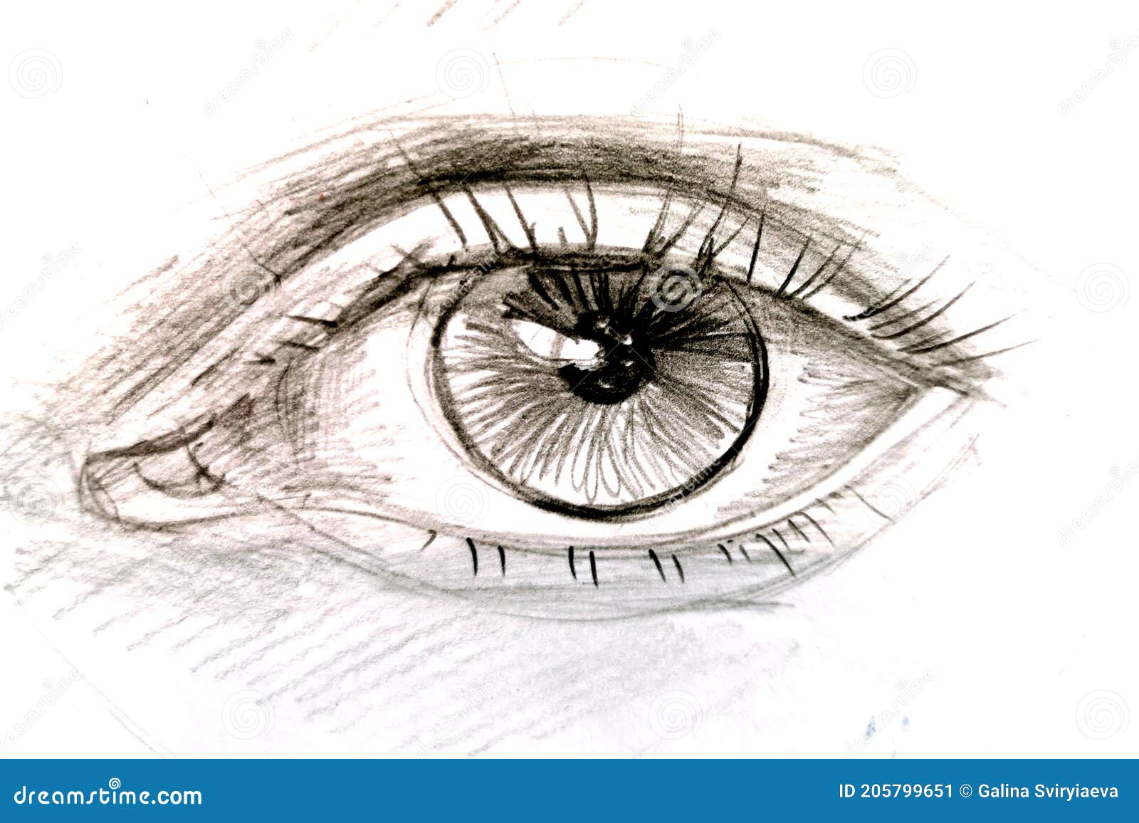 Eye Drawing with a Simple Pencil Stock Illustration - Illustration of ...