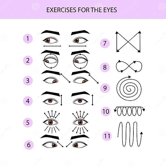 Eye Exercises, Visual Guidance, Vector Illustration Stock Vector ...