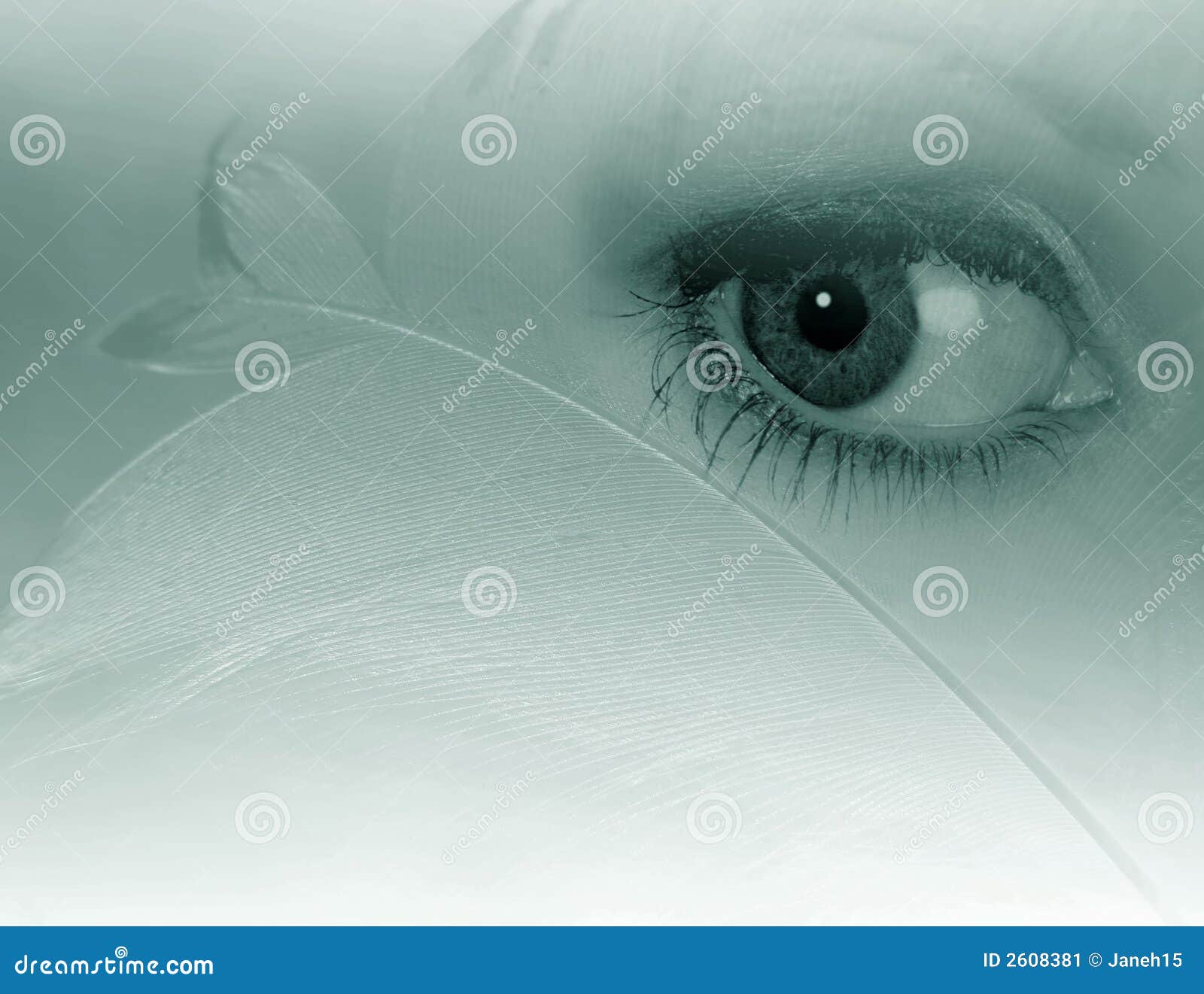 Eye and the feather stock illustration. Illustration of face - 2608381