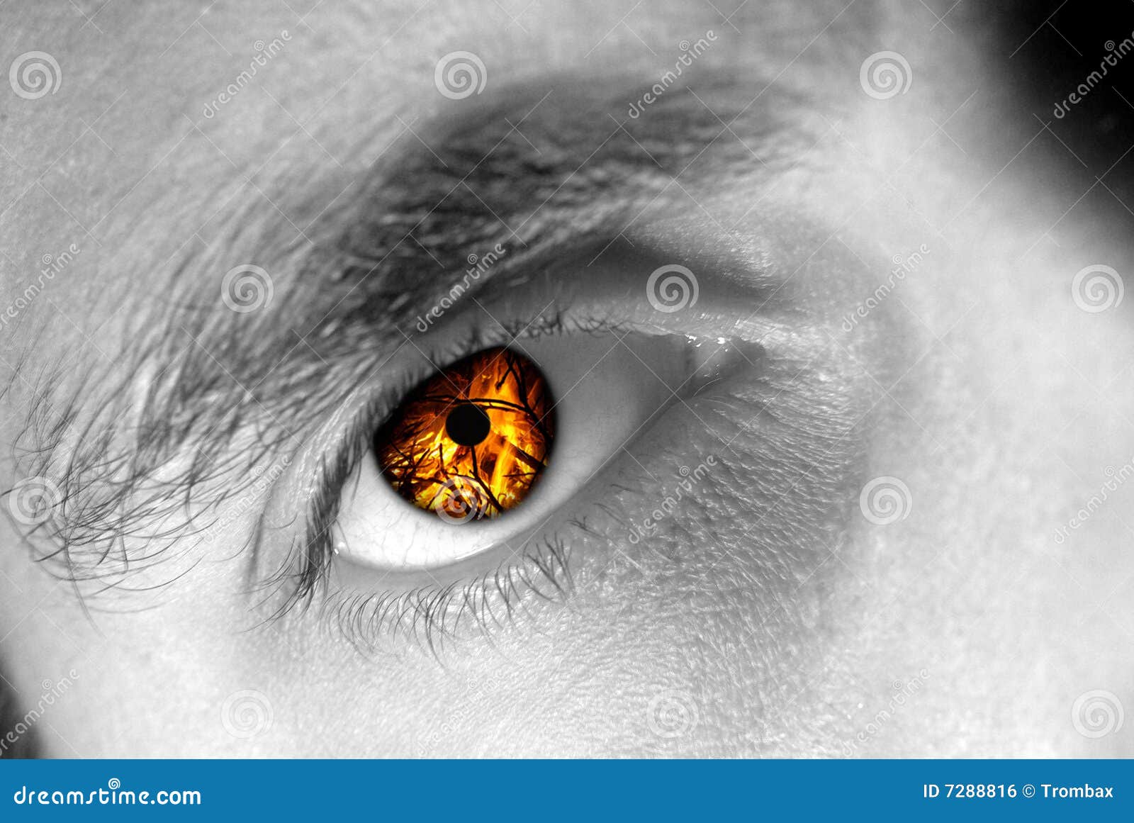 Eye on fire stock photo. Image of detail, firing, bizarre - 7288816