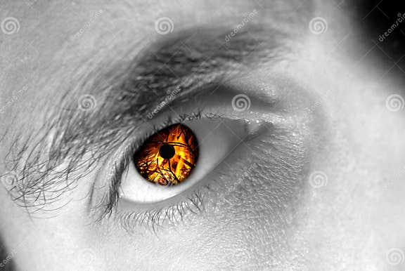 Eye on fire stock photo. Image of detail, firing, bizarre - 7288816