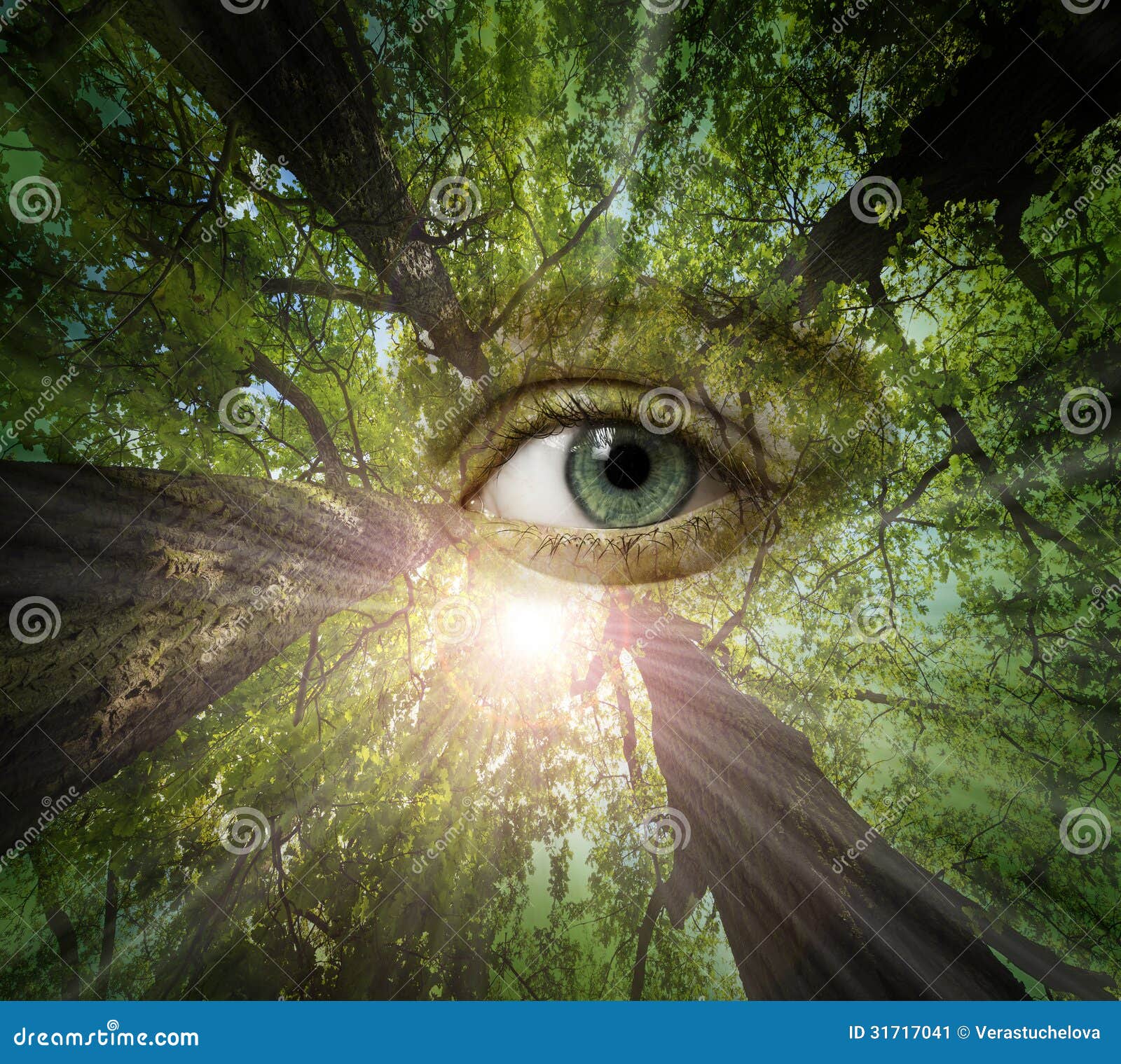 Eye of forest stock image. Image of change, nature, natural - 31717041