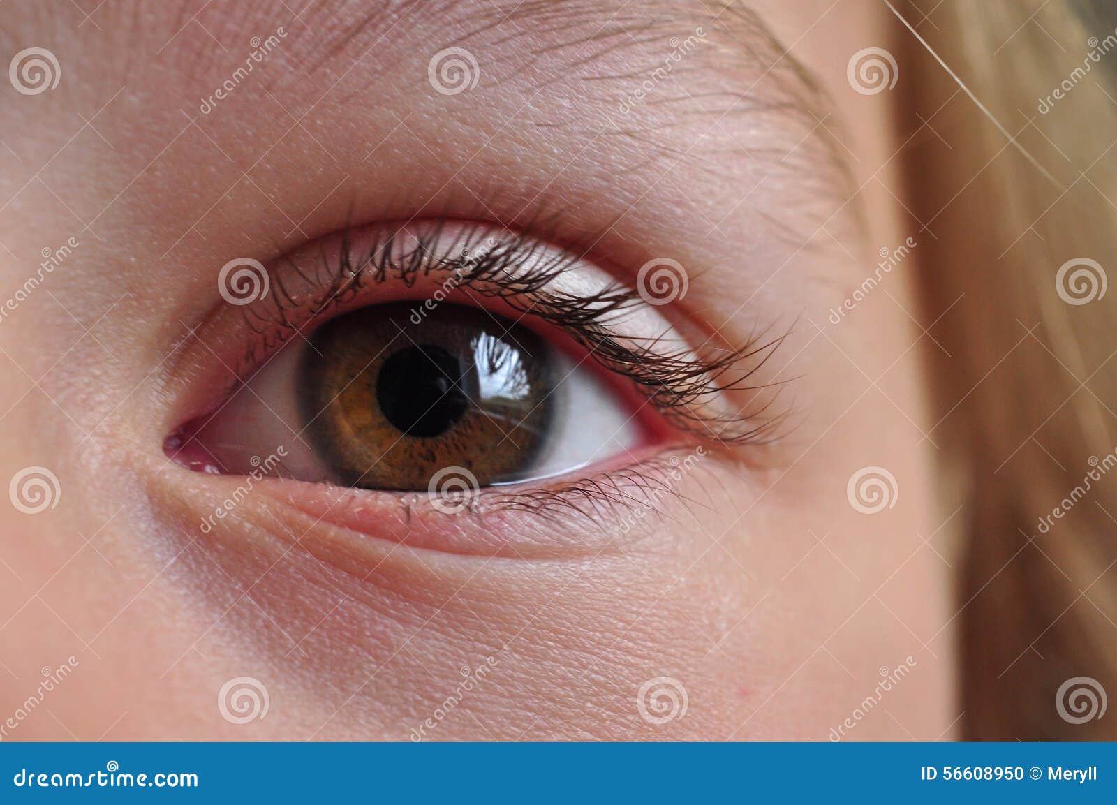 Eye future stock photo. Image of stare, eyes, brown, look - 56608950