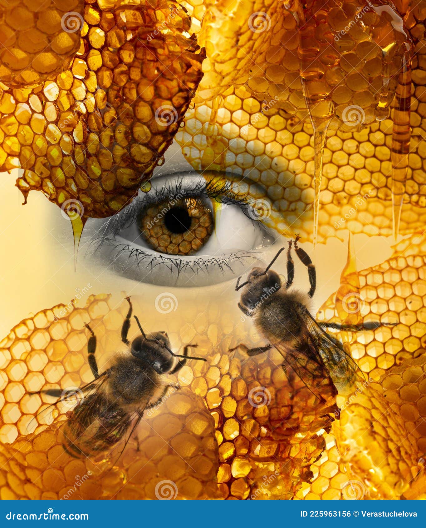 An Eye and Honey Comb Texture in it and Bees Stock Photo - Image of ...