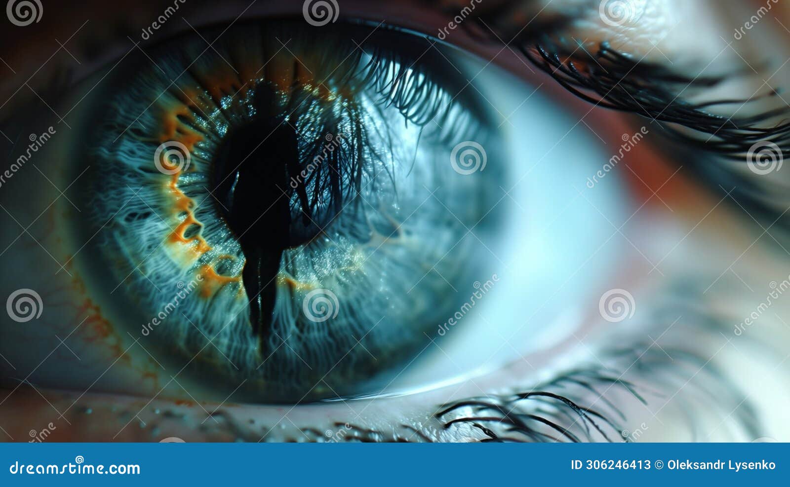 Eye with Human Reflection Macro Stock Illustration - Illustration of ...