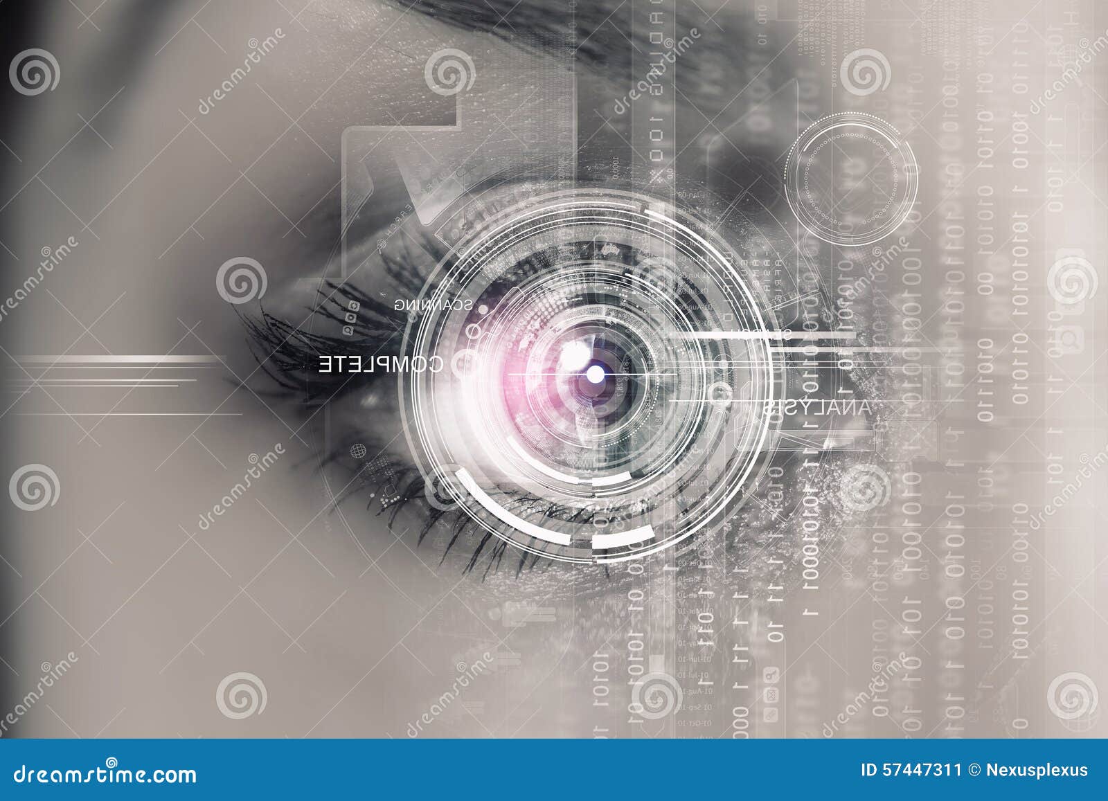 Eye identification stock image. Image of interface, information - 57447311