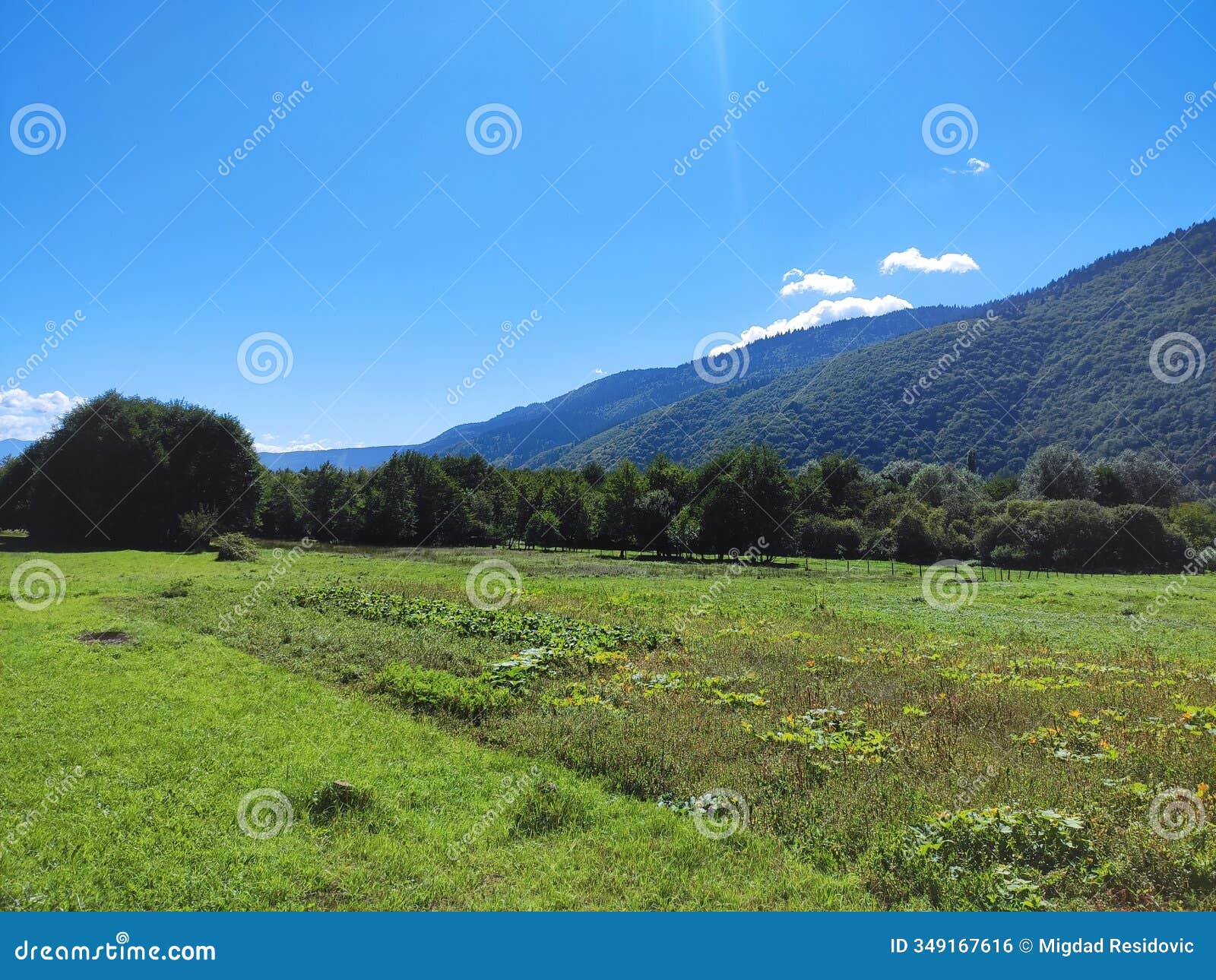 Nature Photos. the Eye of Ilidza and Ilidza Stock Photo - Image of ...