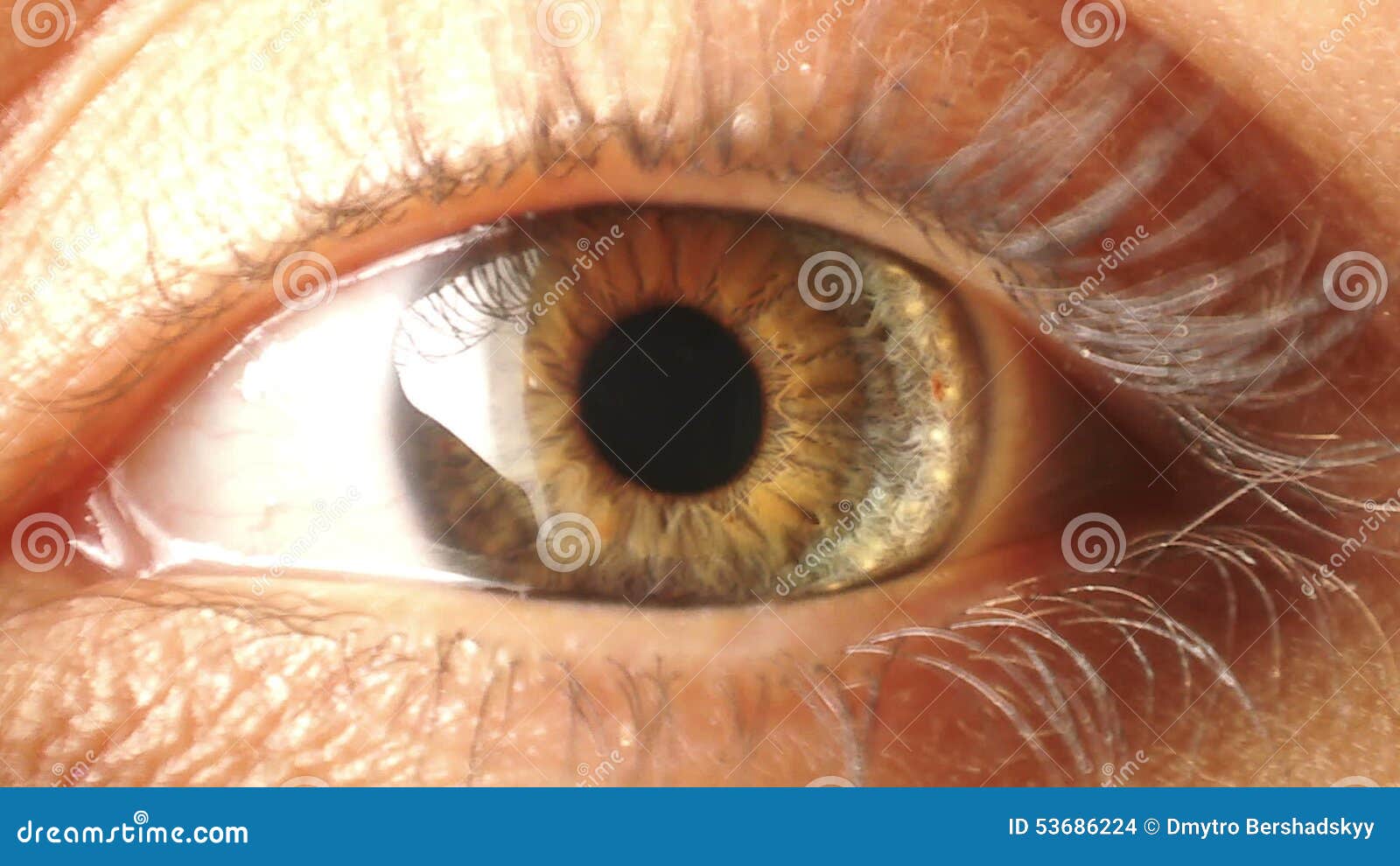 Eye iris contracting stock footage. Video of conjunctivitis - 53686224