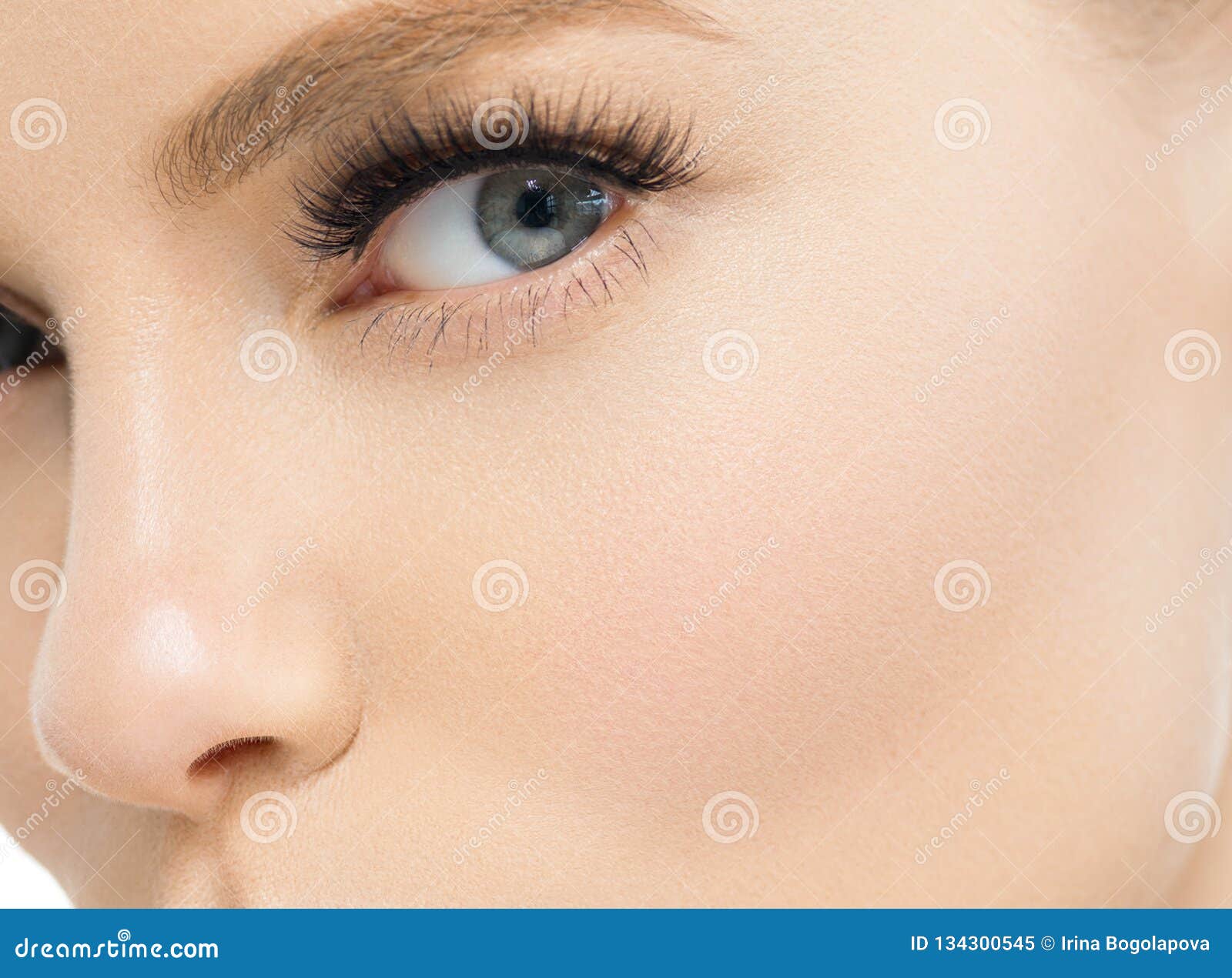 Eye Lashes Woman Beauty Face Macro Stock Image - Image of blue, eyes ...