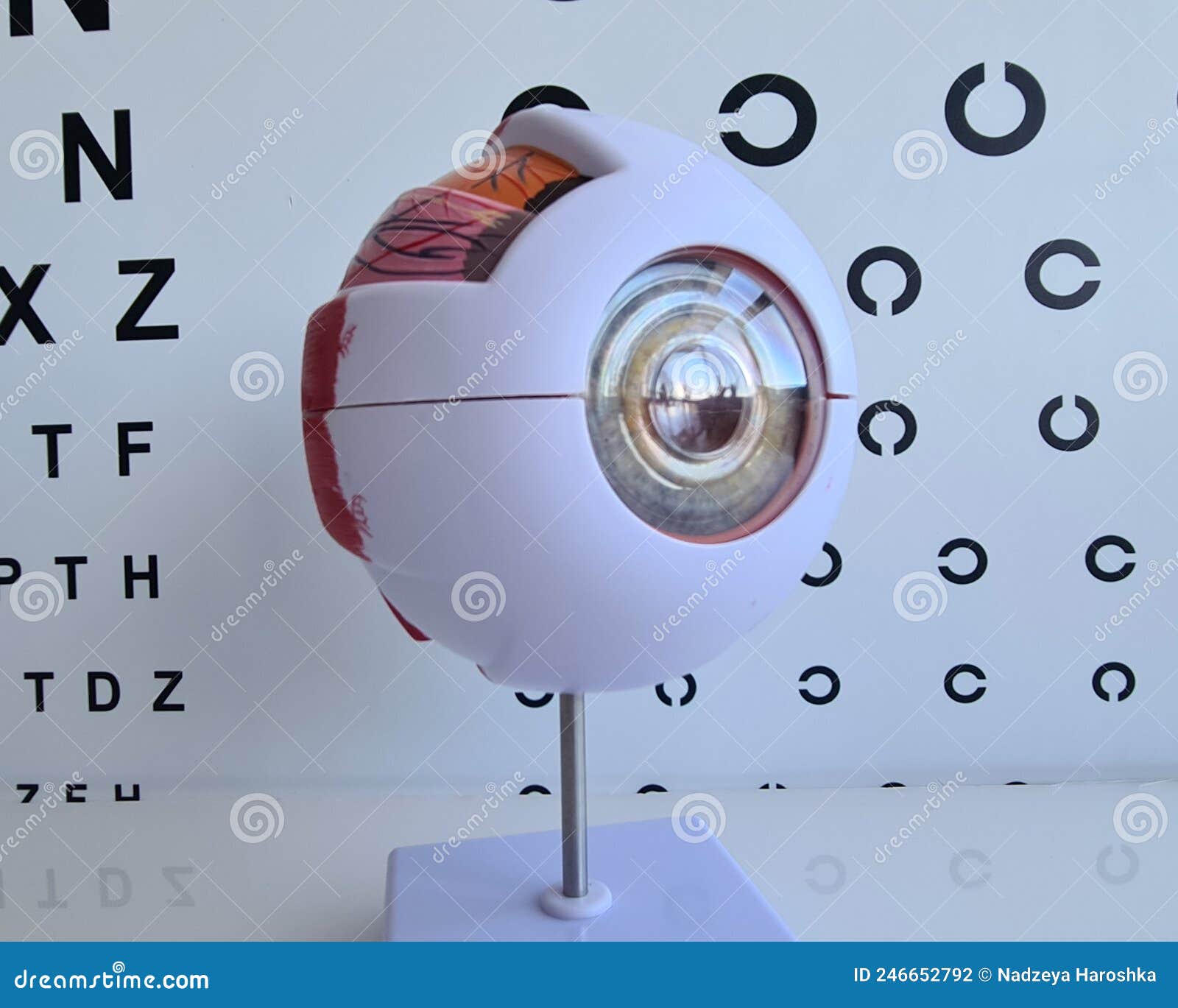 Eye Layout and Ophthalmologist Table for Checking Vision Stock Photo ...