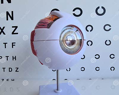 Eye Layout and Ophthalmologist Table for Checking Vision Stock Photo ...