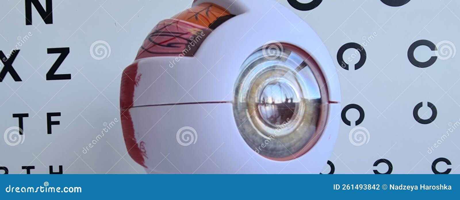 Eye Layout and Ophthalmologist Table for Checking Vision Stock Photo ...