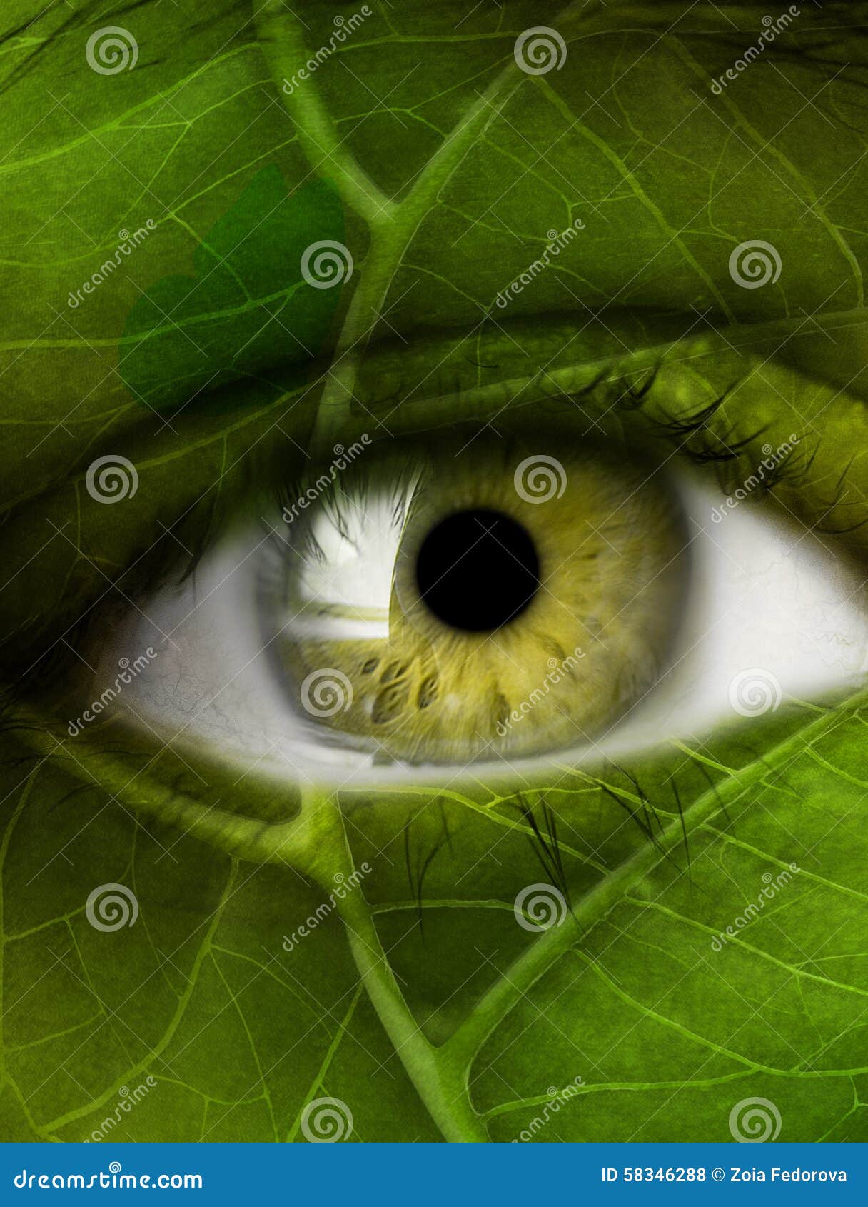 Eye leaf stock photo. Image of pollution, texture, climate - 58346288