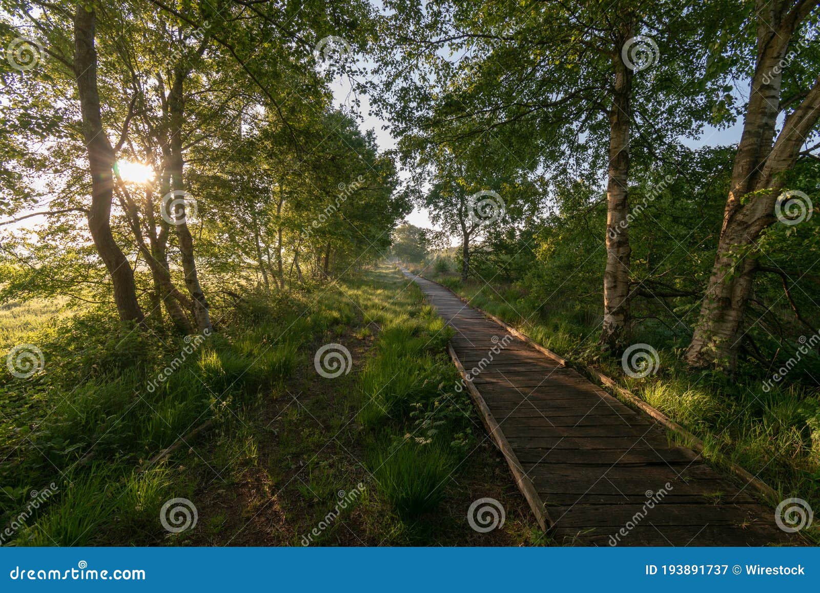 Pathway In The Green Landscape Hills At The Nobbies At Phillip Island ...
