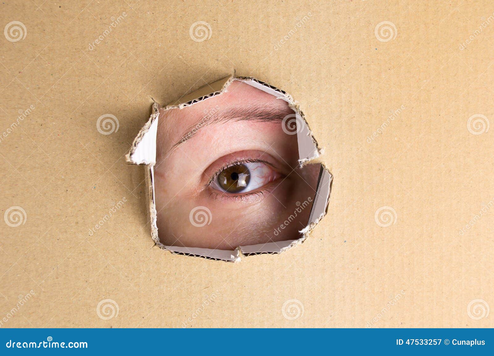 Eye looking stock image. Image of camera, people, cardboard - 47533257