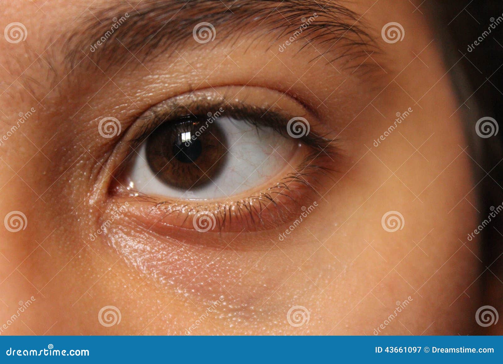 Eye stock image. Image of looking, pupil, eyelash, sight - 43661097