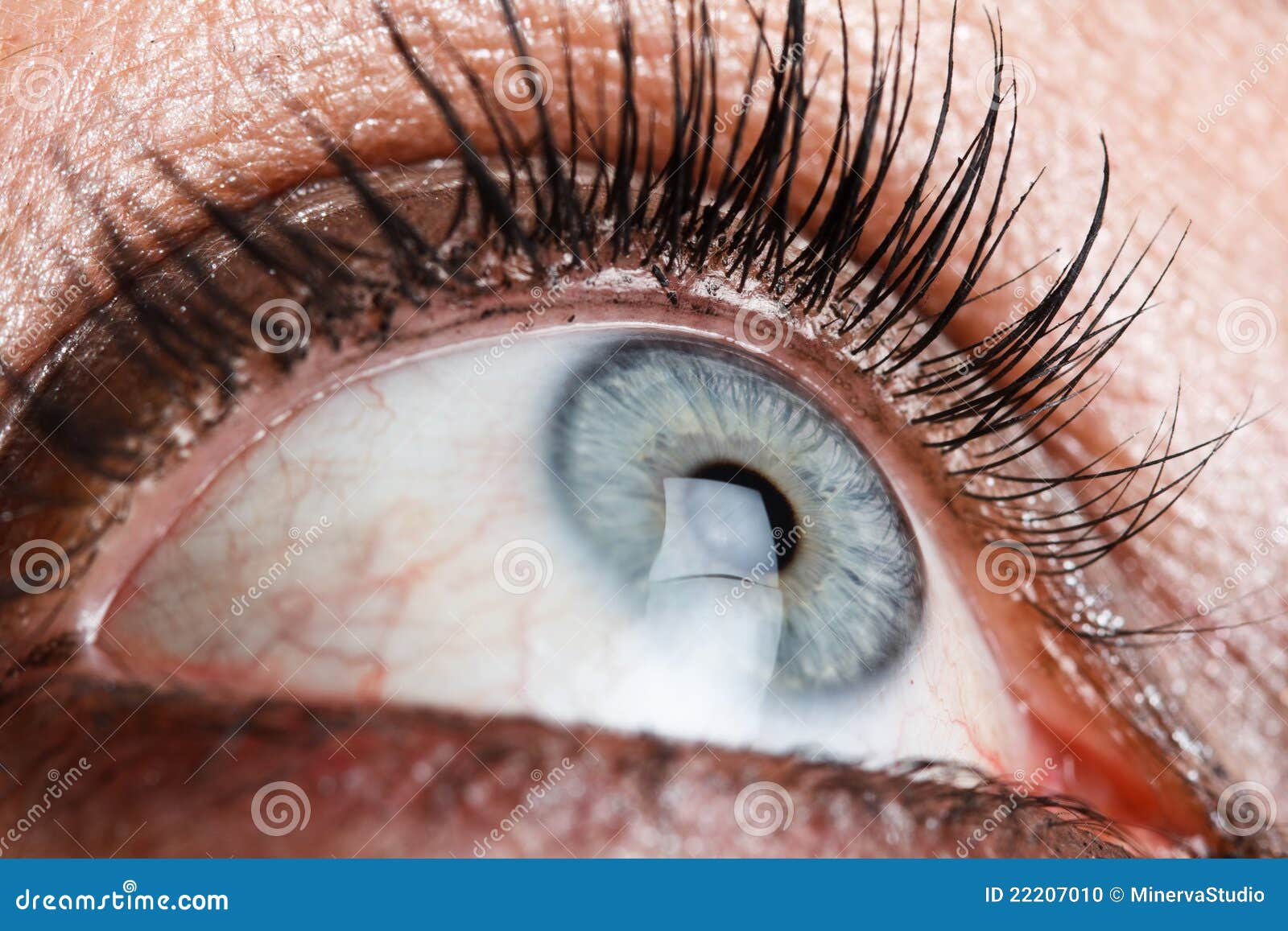 Eye macro stock photo. Image of elegance, beauty, expectations - 22207010