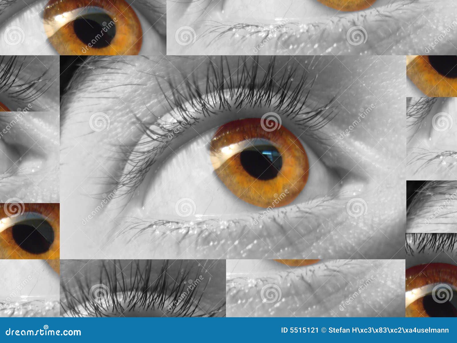Eye macro stock image. Image of pupil, fold, eyelash, song - 5515121