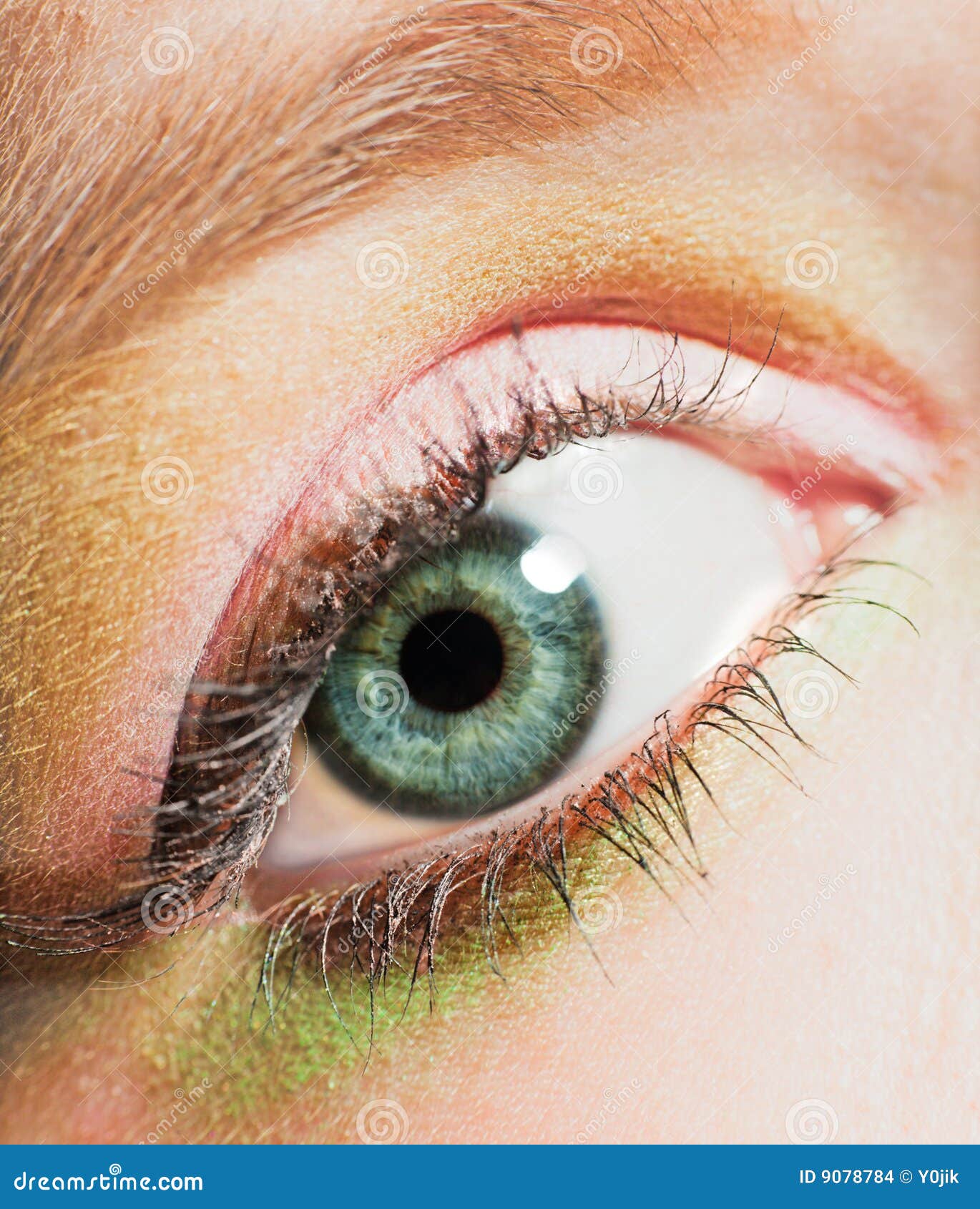 Eye macro shot stock photo. Image of eyelids, macro, human - 9078784