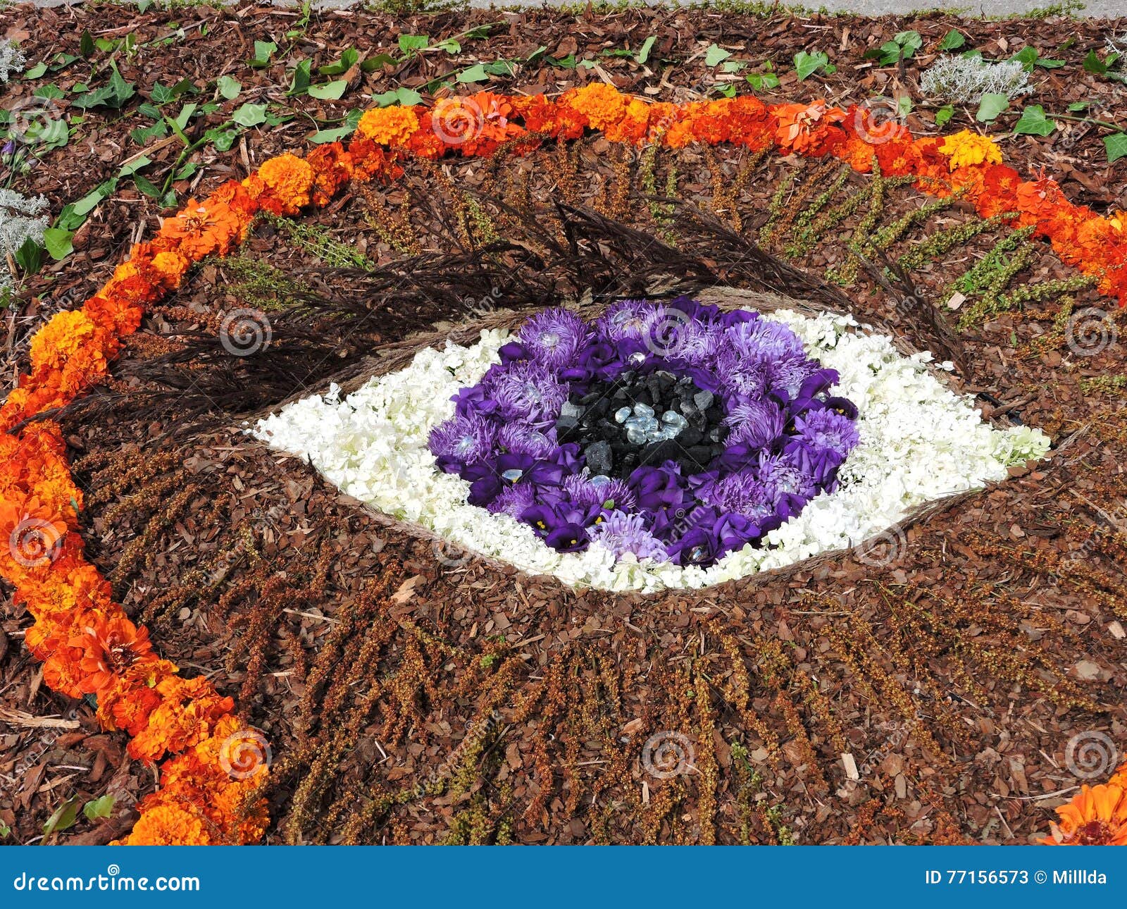 Eye made from flowers stock image. Image of orange, artistic - 77156573