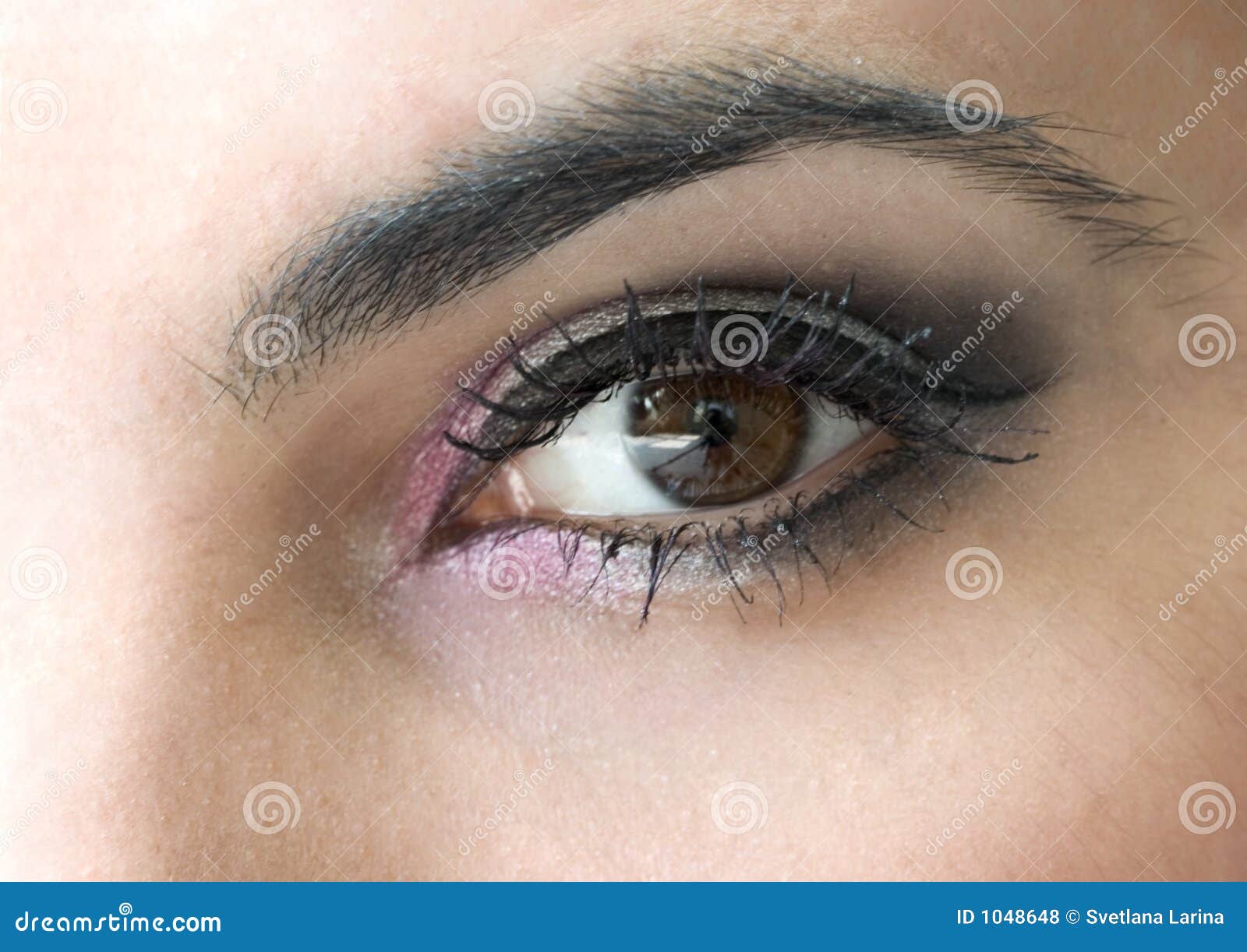 Eye with make-up stock photo. Image of care, face, clear - 1048648