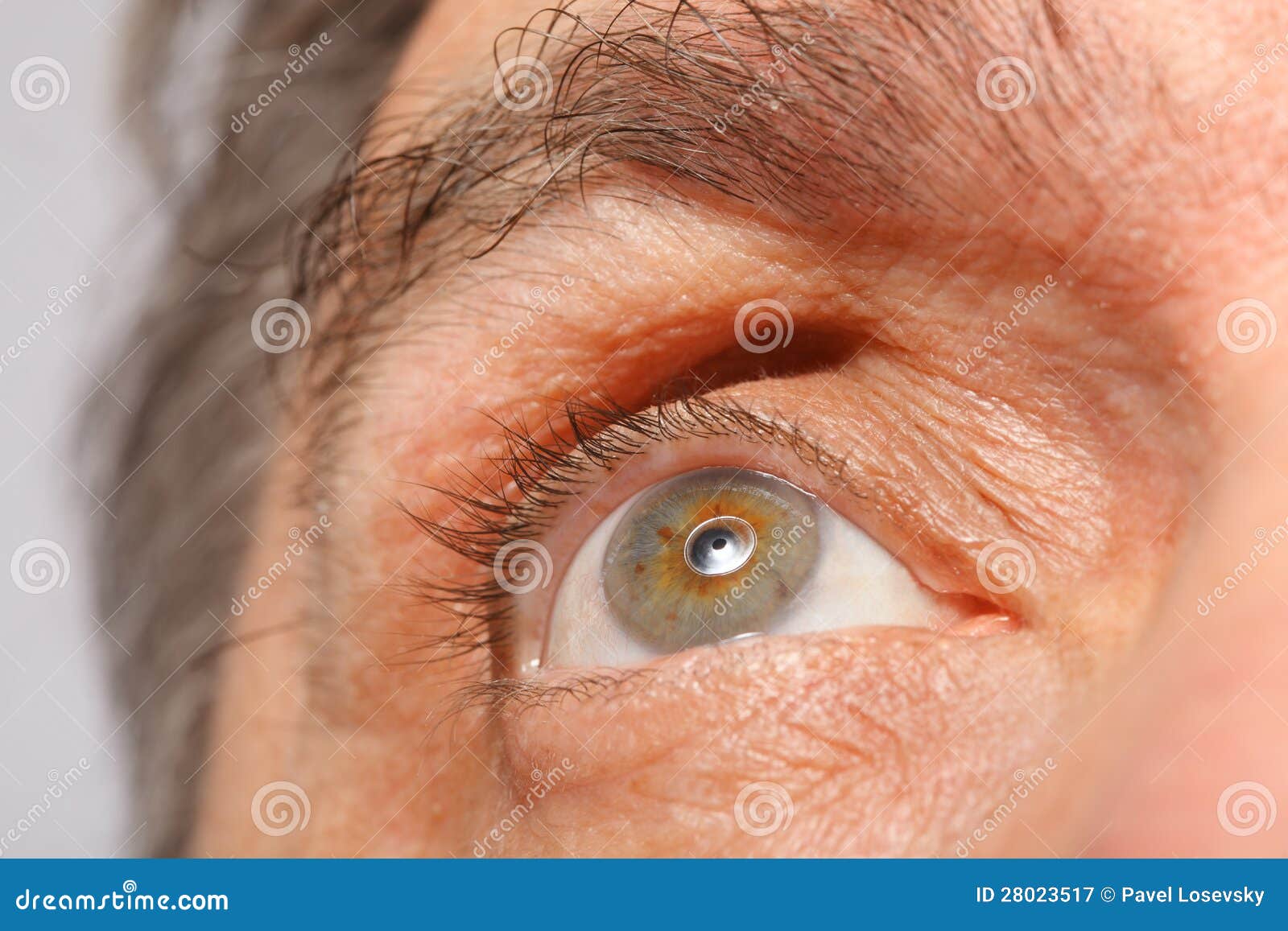 Eye of man stock image. Image of look, beauty, person - 28023517
