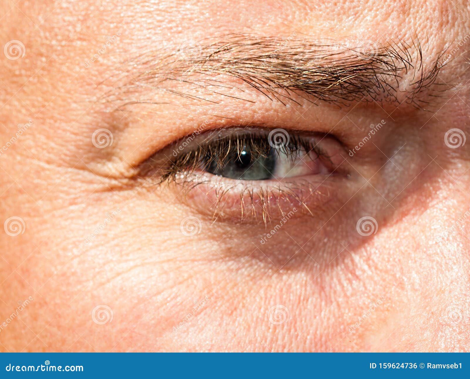 The Eye of a Man Looking Straight into the Lens Stock Photo - Image of ...