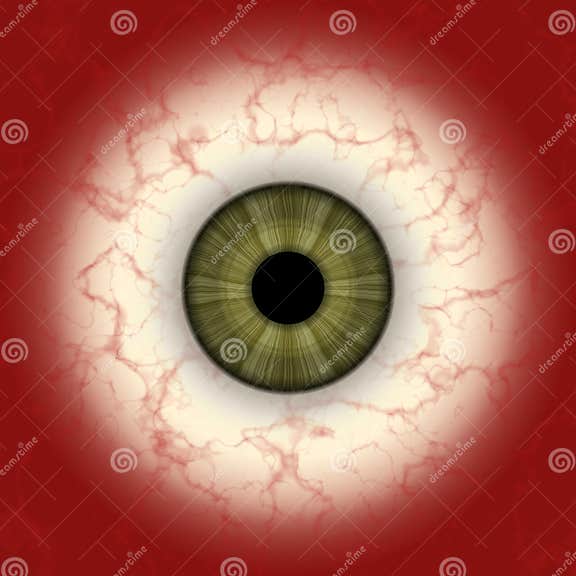Eye map stock illustration. Illustration of ophtamology - 5345586