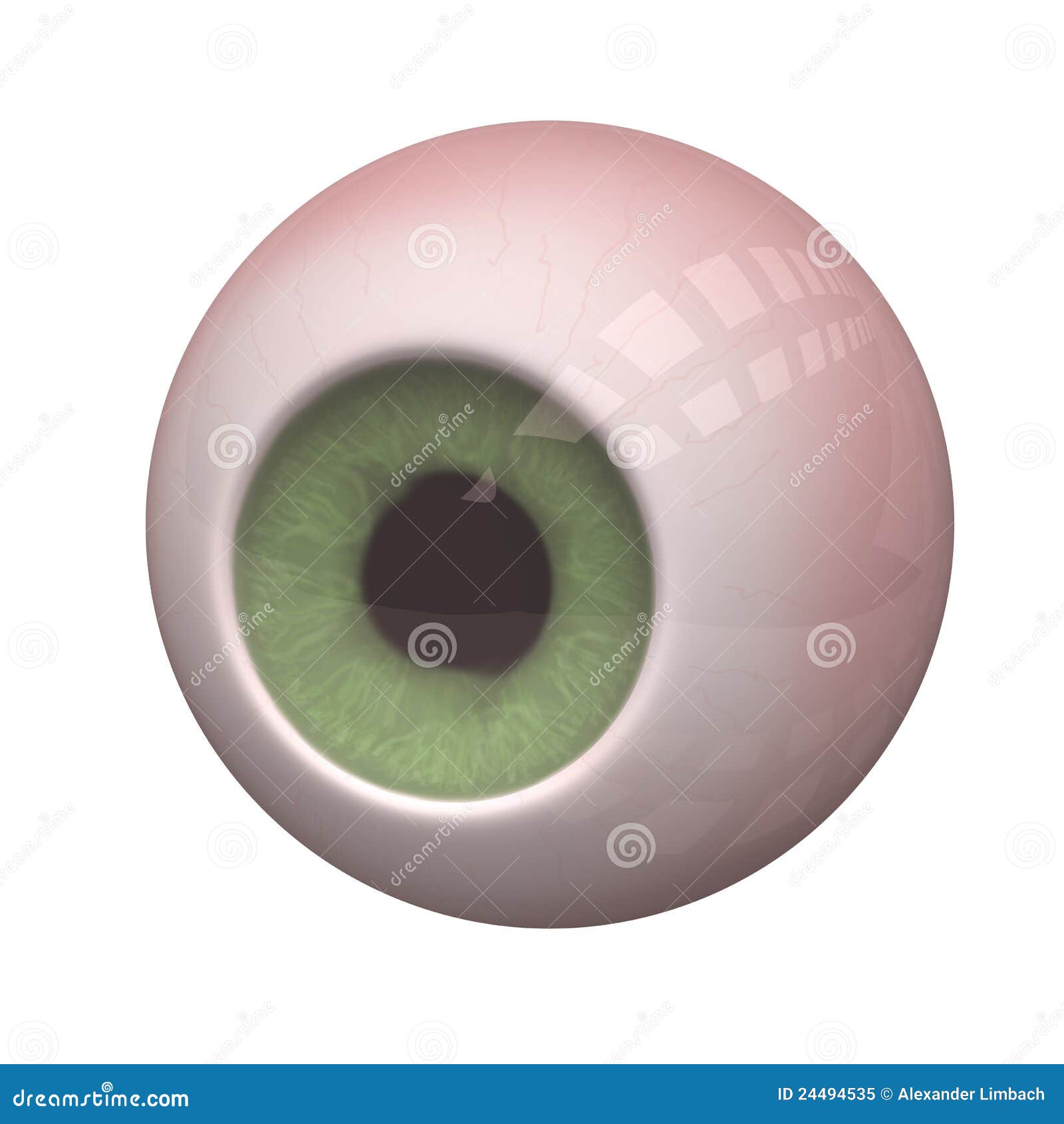 Eye Oculus stock illustration. Illustration of fundus - 24494535