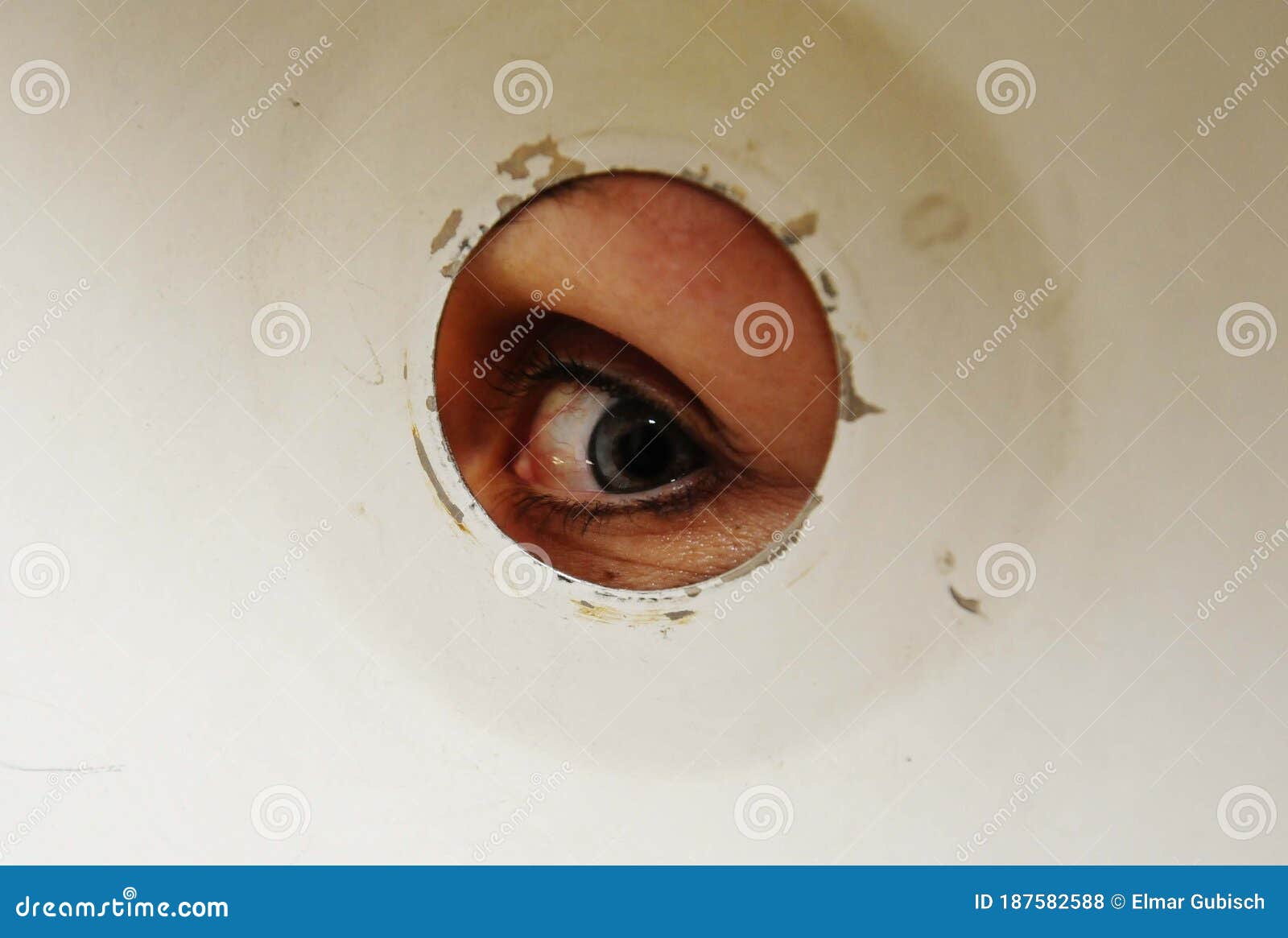 Eye, Organ of the Visual System Stock Photo - Image of eyesight, gaze ...